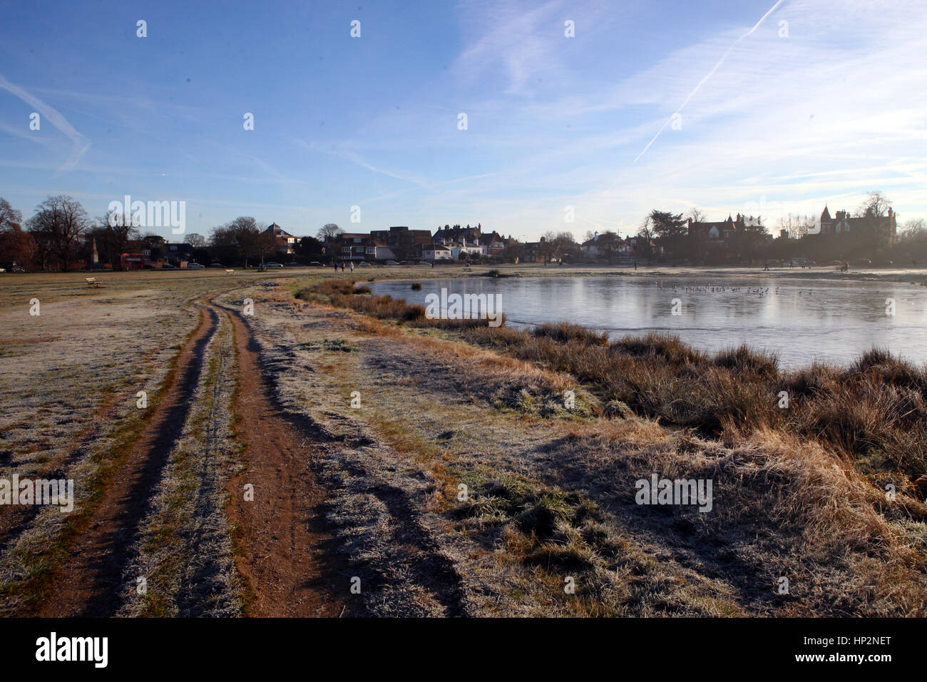 A bitterly cold and frosty morning on Wimbledon Common, London ...