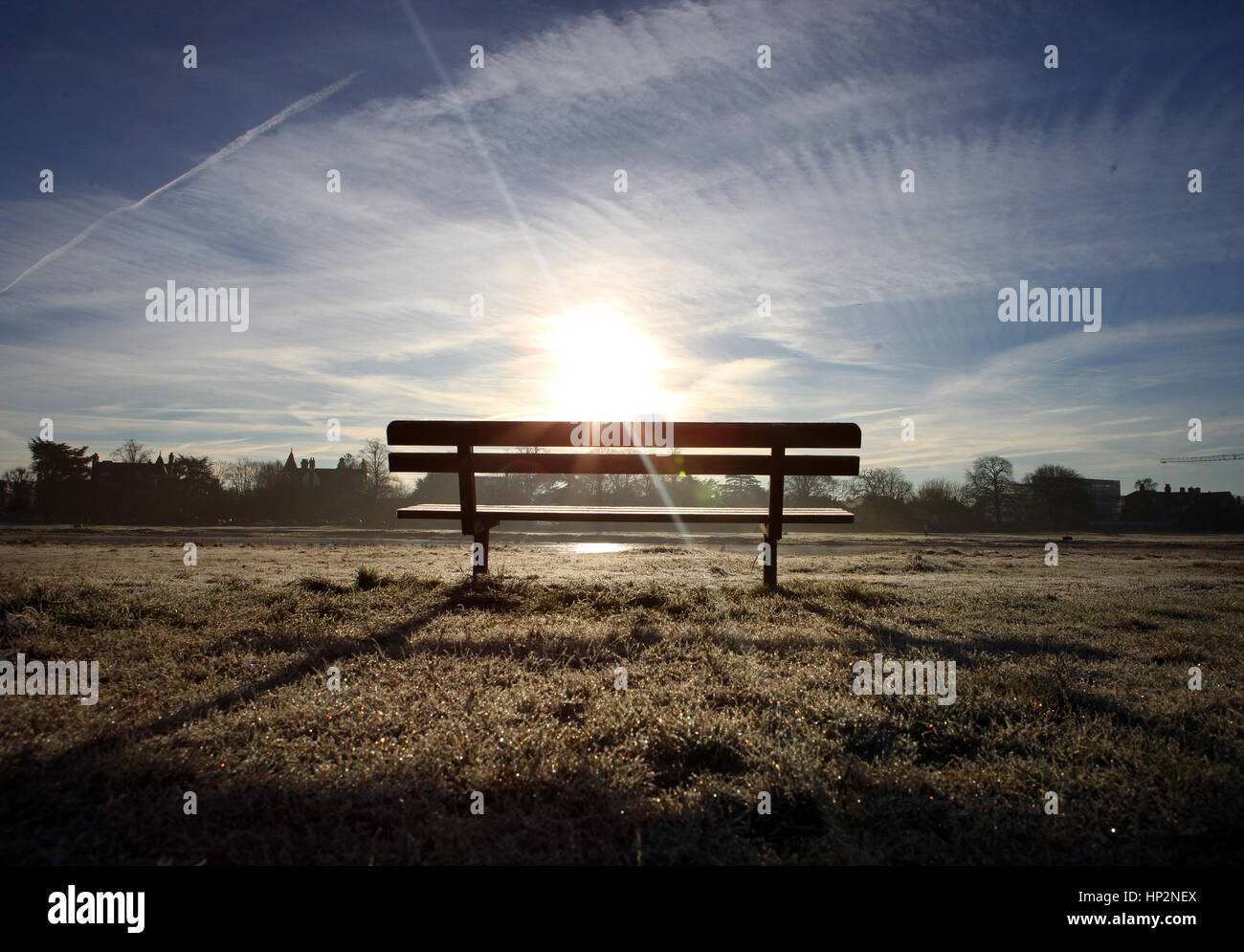 A bitterly cold and frosty morning on Wimbledon Common, London ...