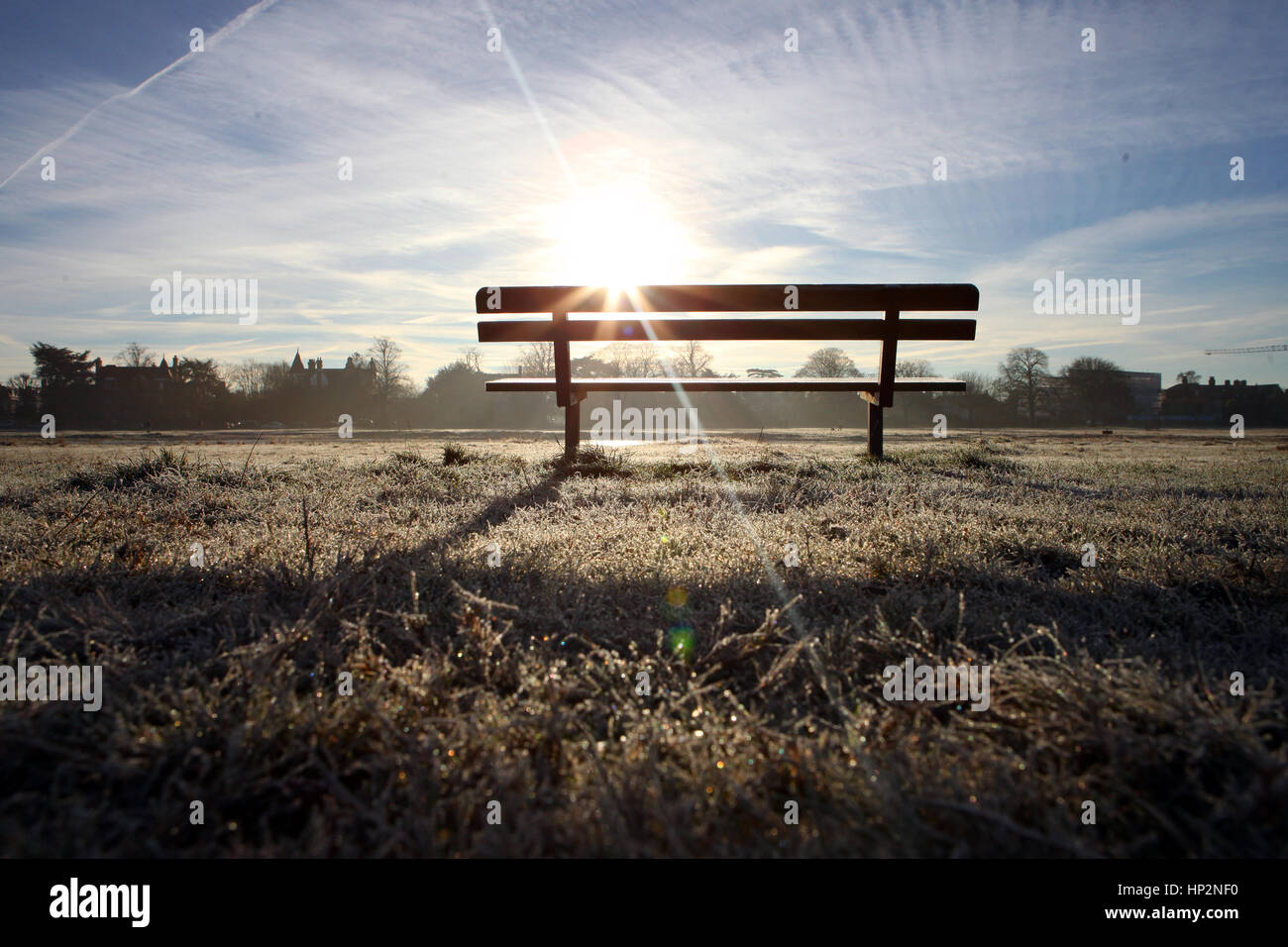 A bitterly cold and frosty morning on Wimbledon Common, London ...