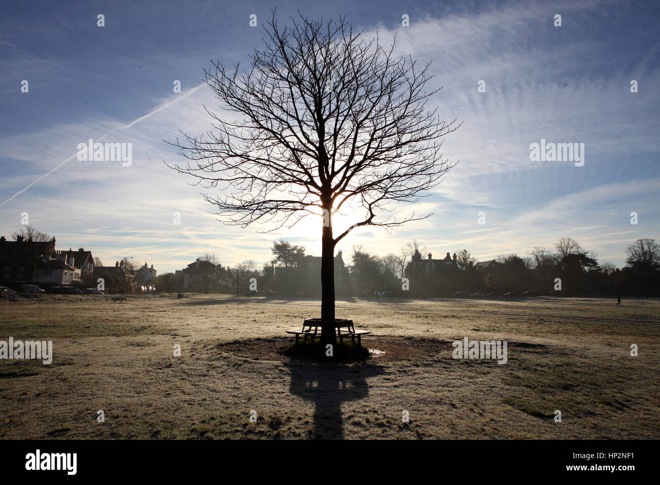 A bitterly cold and frosty morning on Wimbledon Common, London ...