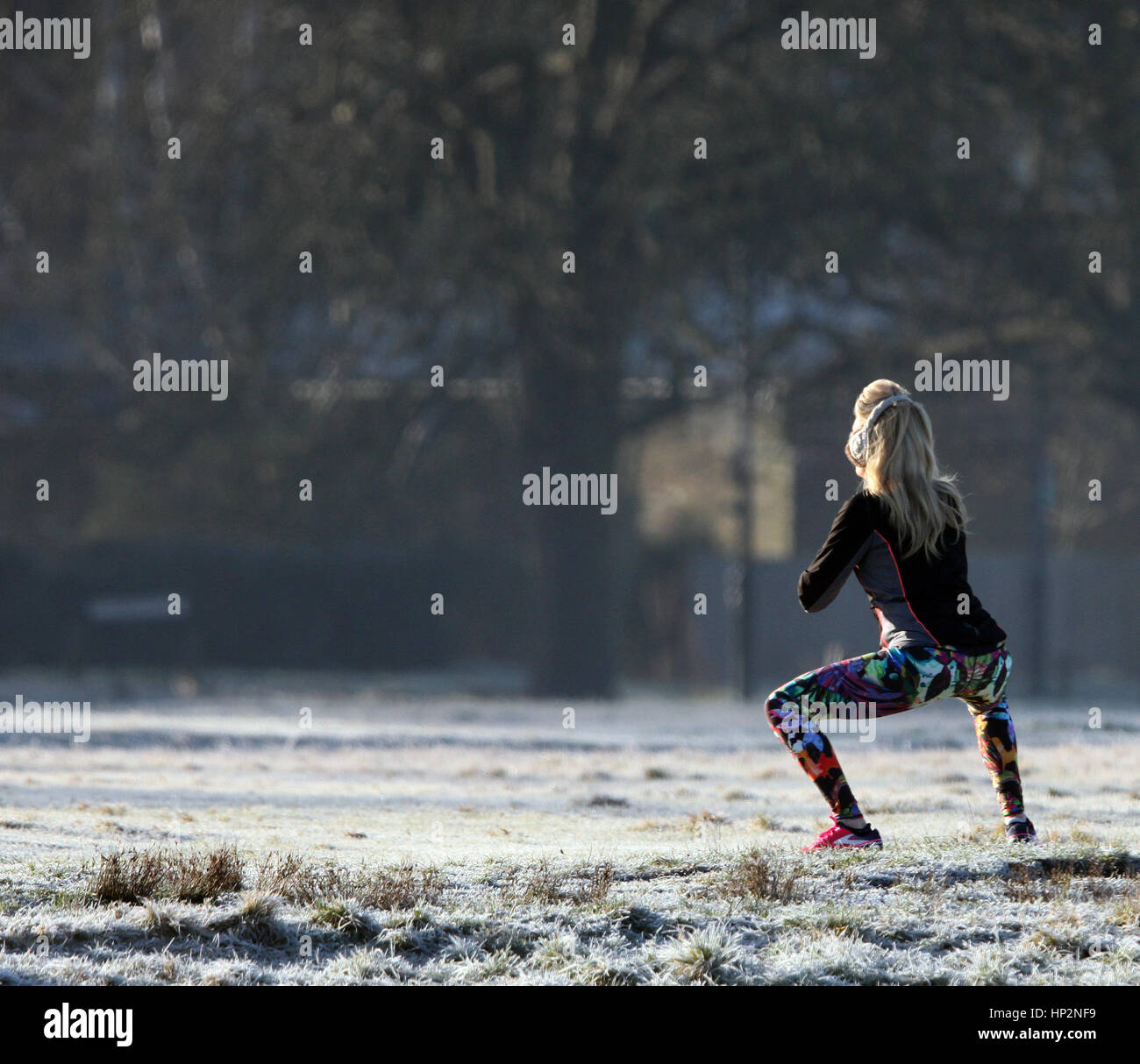 A bitterly cold and frosty morning on Wimbledon Common, London ...