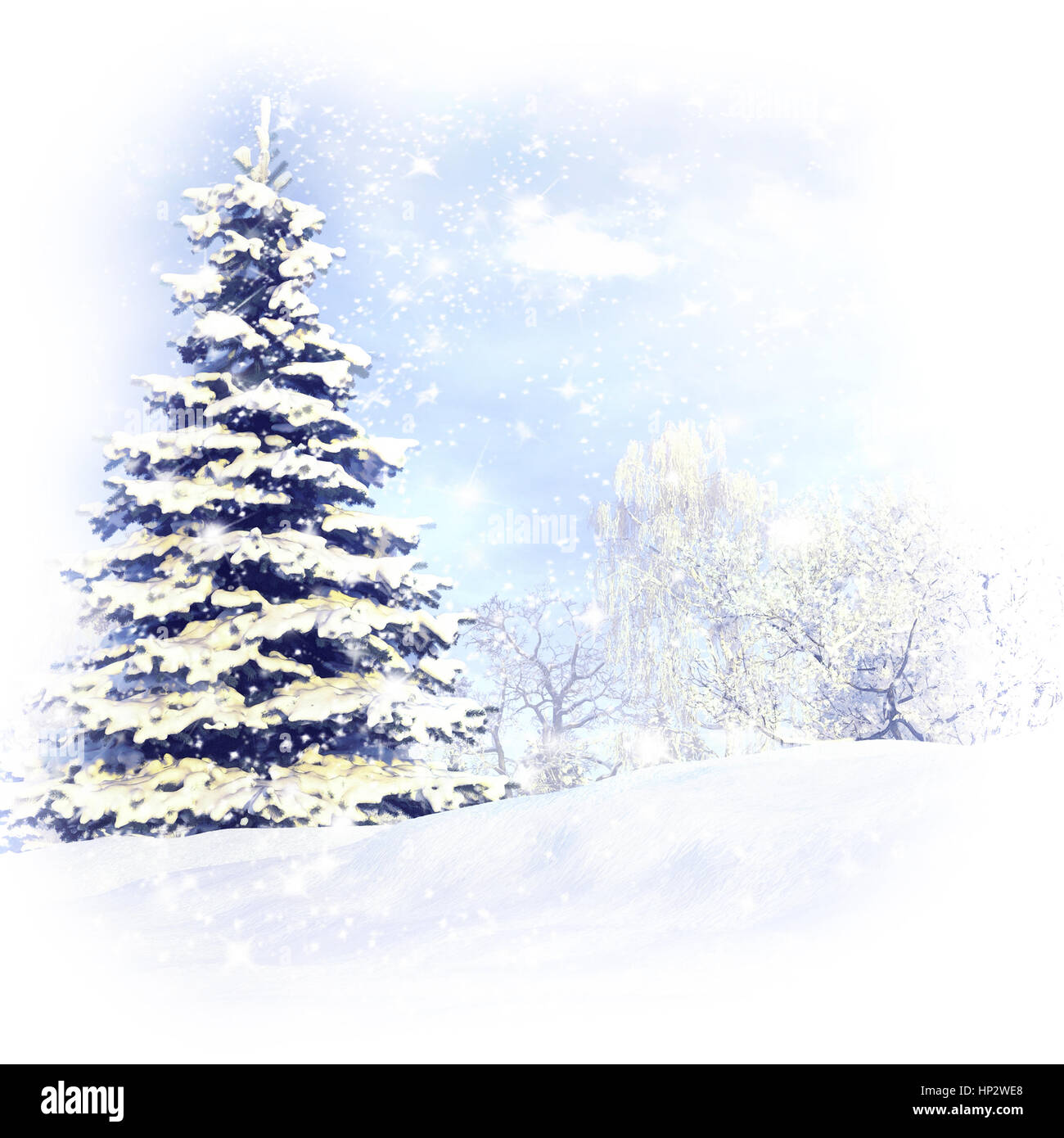 Fir trees after snow storm hi-res stock photography and images - Alamy