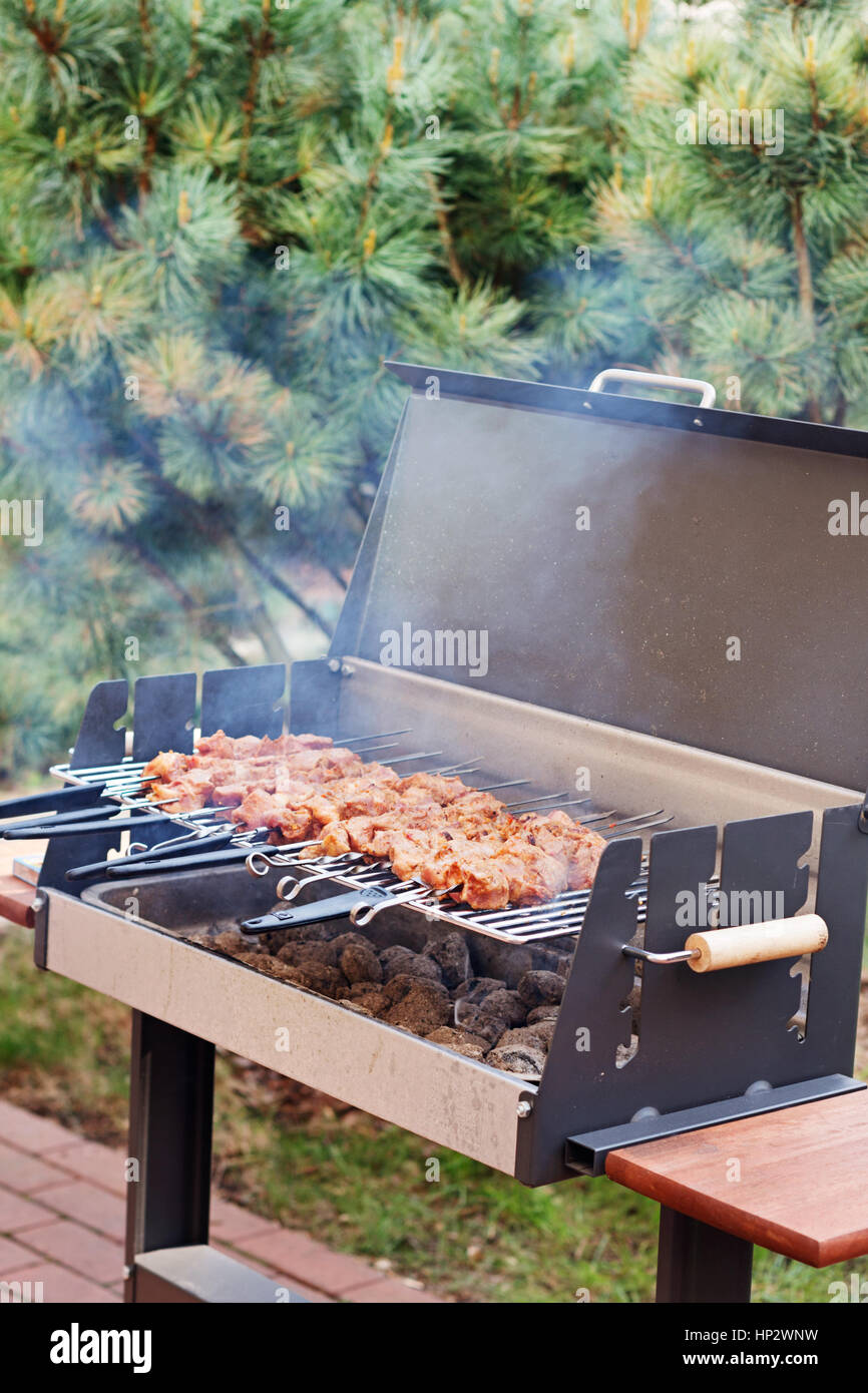 Grill with barbecue in backyard Stock Photo - Alamy