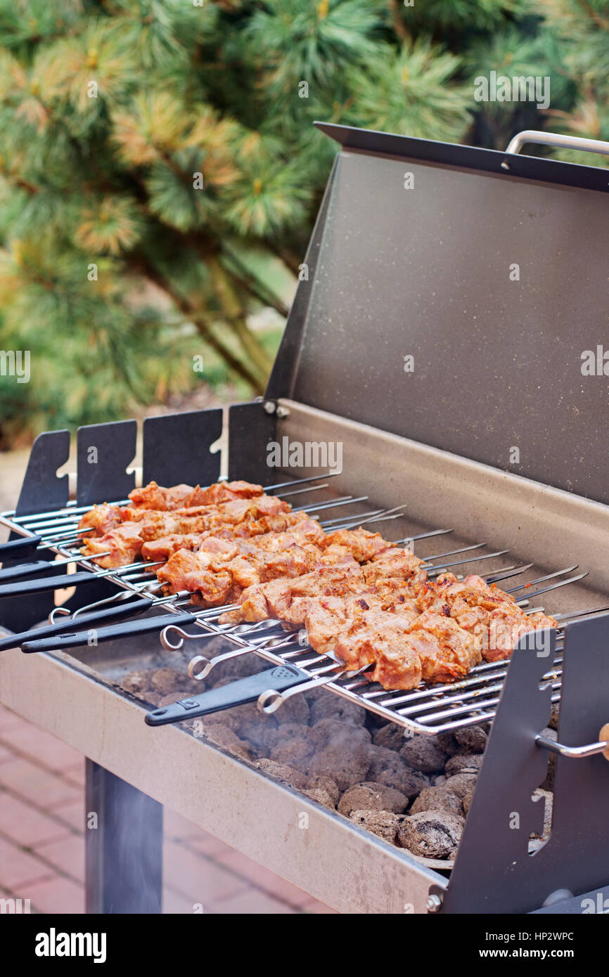 Grill with barbecue in backyard Stock Photo - Alamy