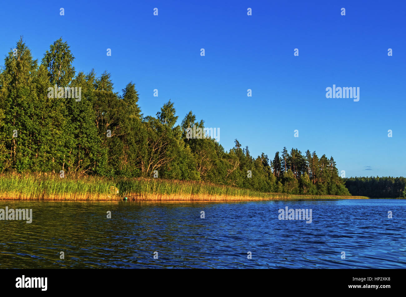 Travel and fishing on forest lake Stock Photo - Alamy