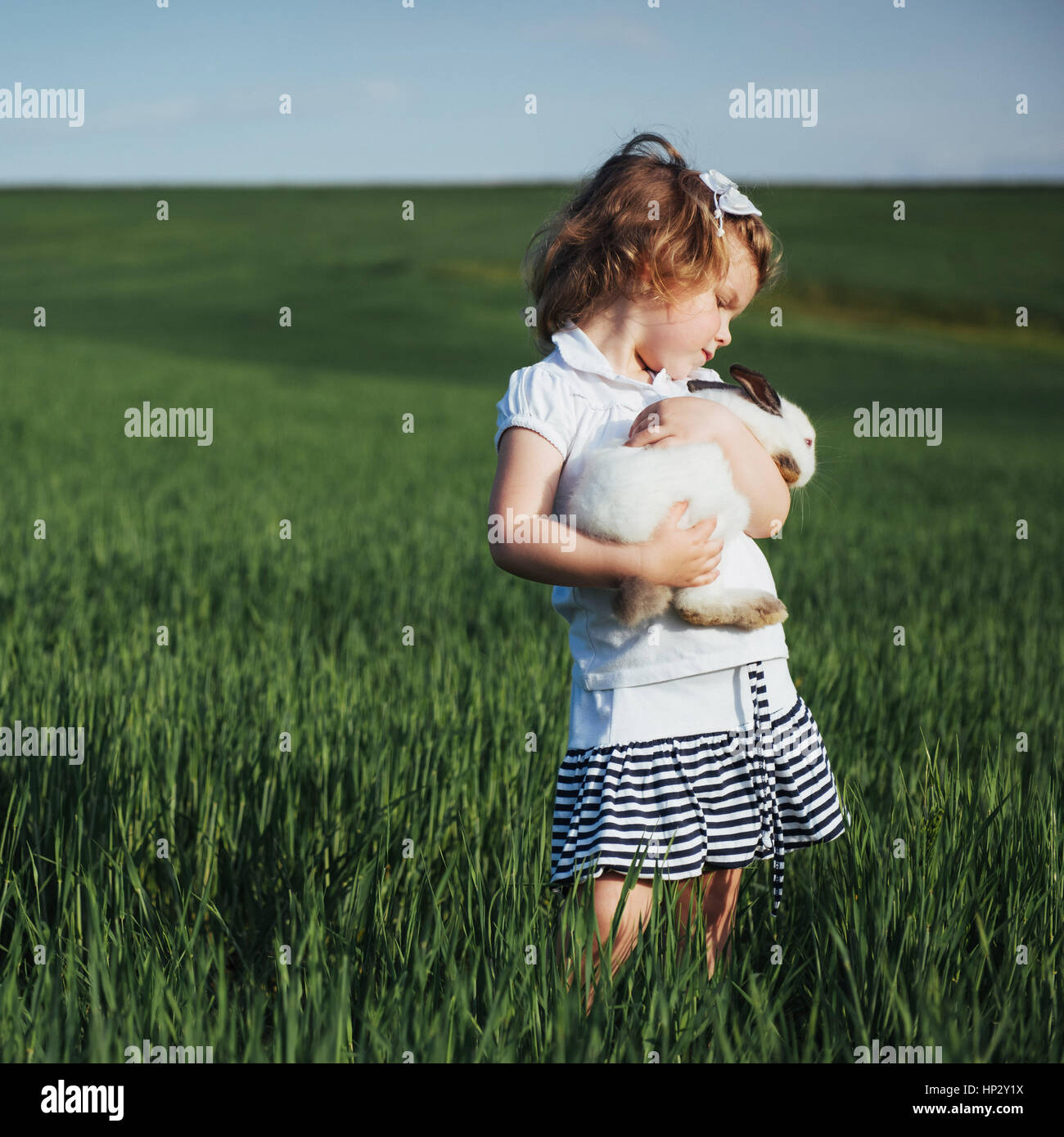 baby rabbit in a field of green wheat Stock Photo - Alamy
