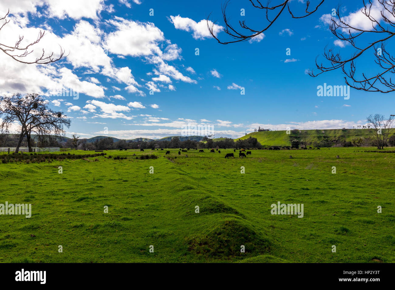Knights ferry hi-res stock photography and images - Alamy