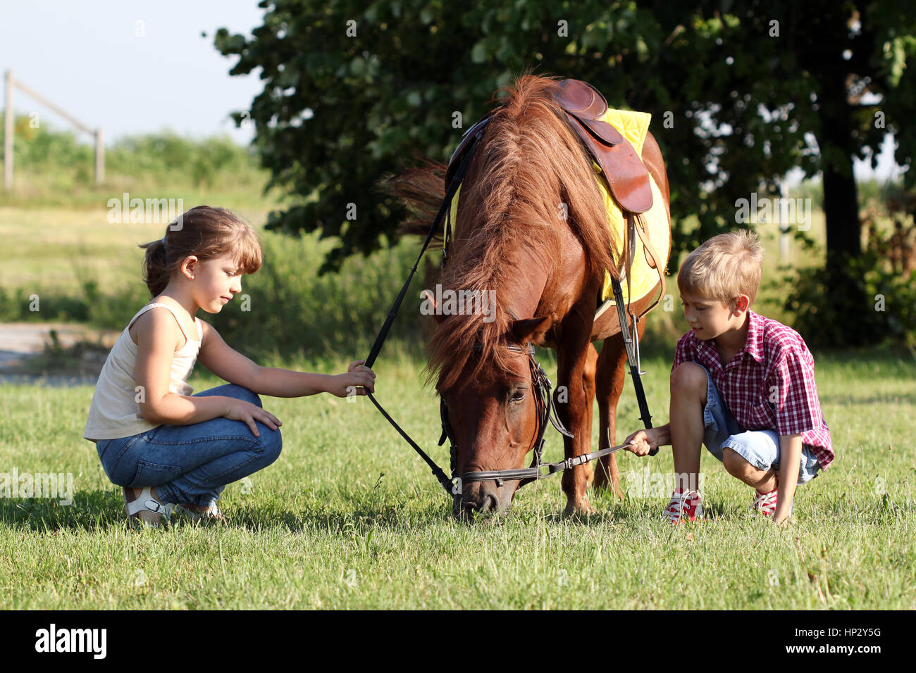 little girl and boy play with pony horse Stock Photo - Alamy