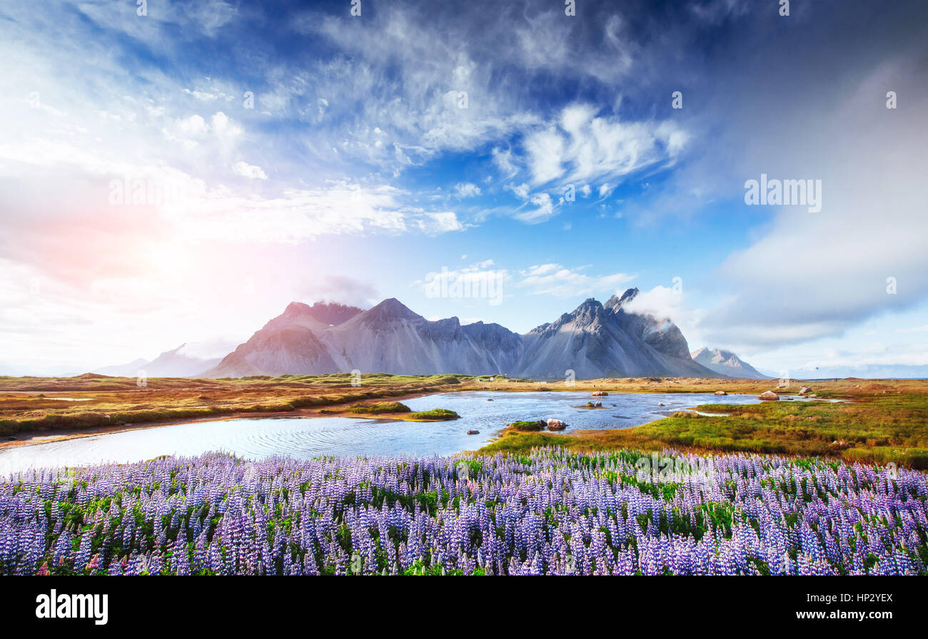 The picturesque landscapes forests and mountains of Iceland Stock Photo ...