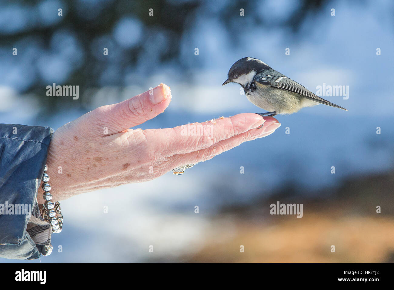 Hand nature hi-res stock photography and images - Alamy