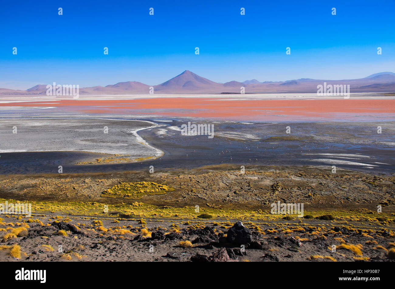 Laguna colorada de bolivia hi-res stock photography and images - Alamy