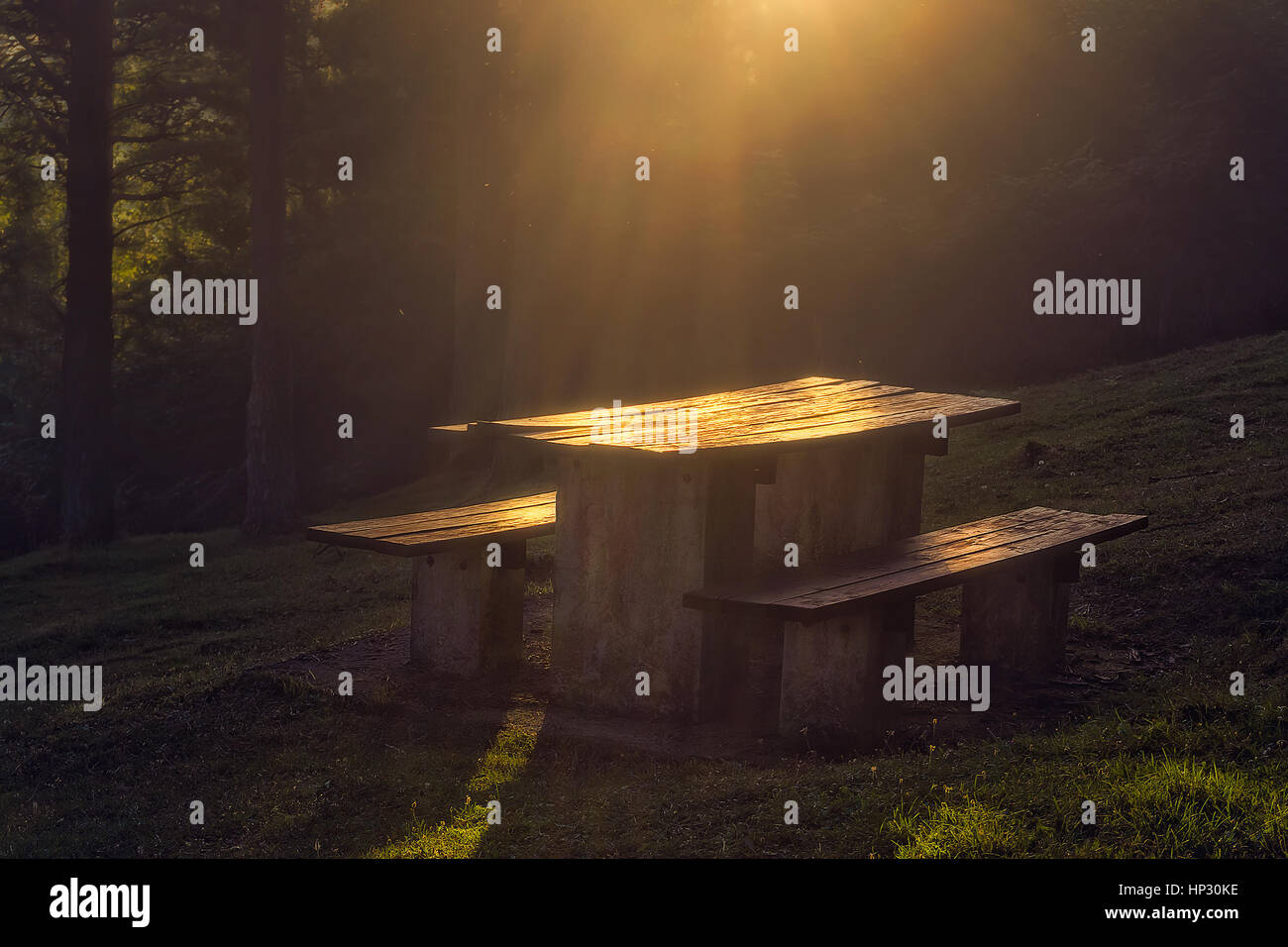 picnic table with benches in the nature Stock Photo - Alamy