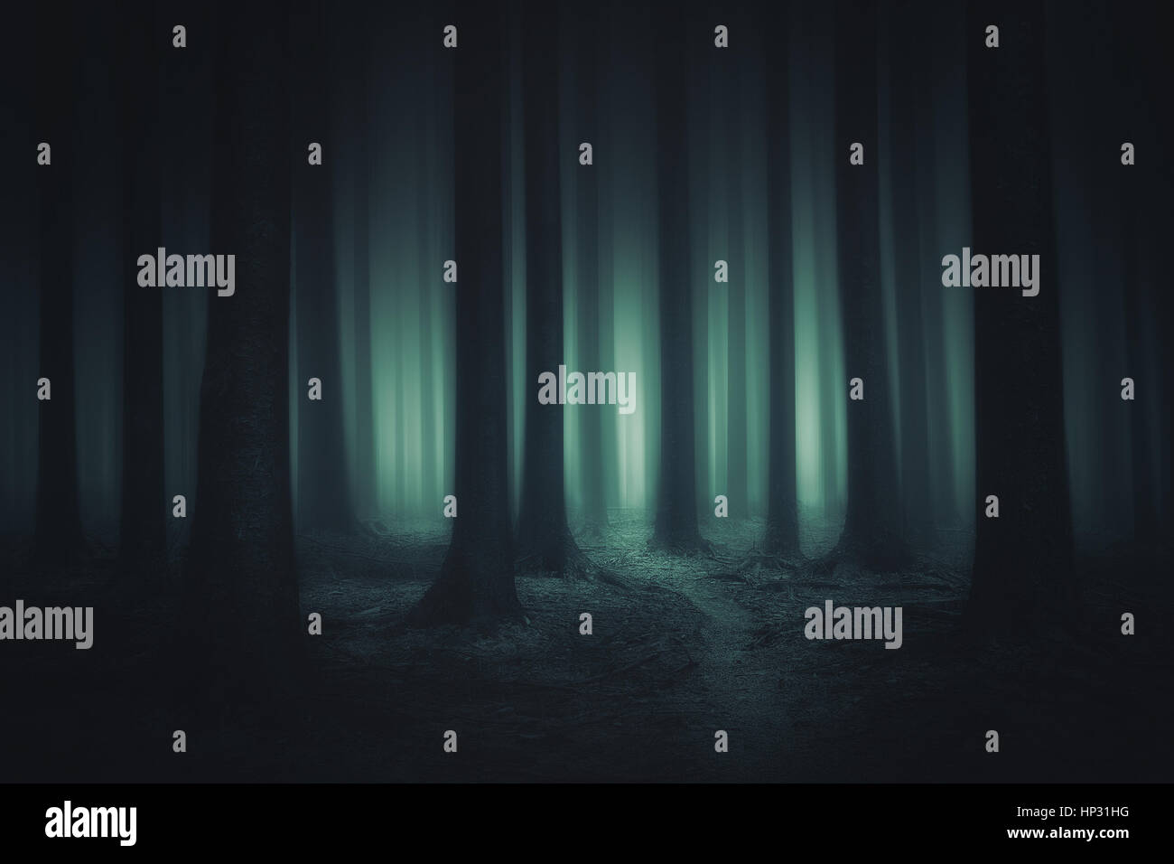 dark and scary forest Stock Photo - Alamy