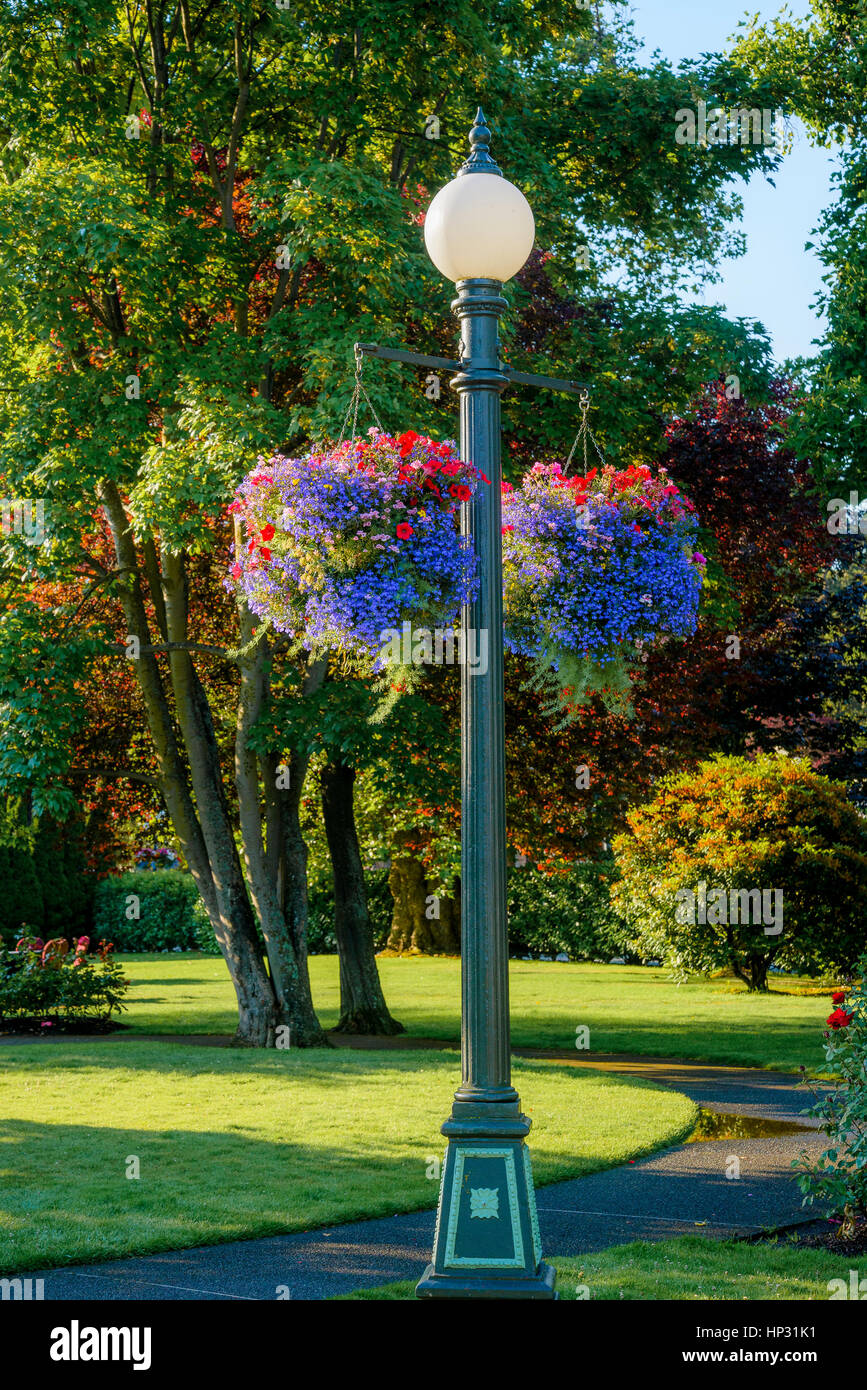 Lamp post flower baskets hi-res stock photography and images - Alamy