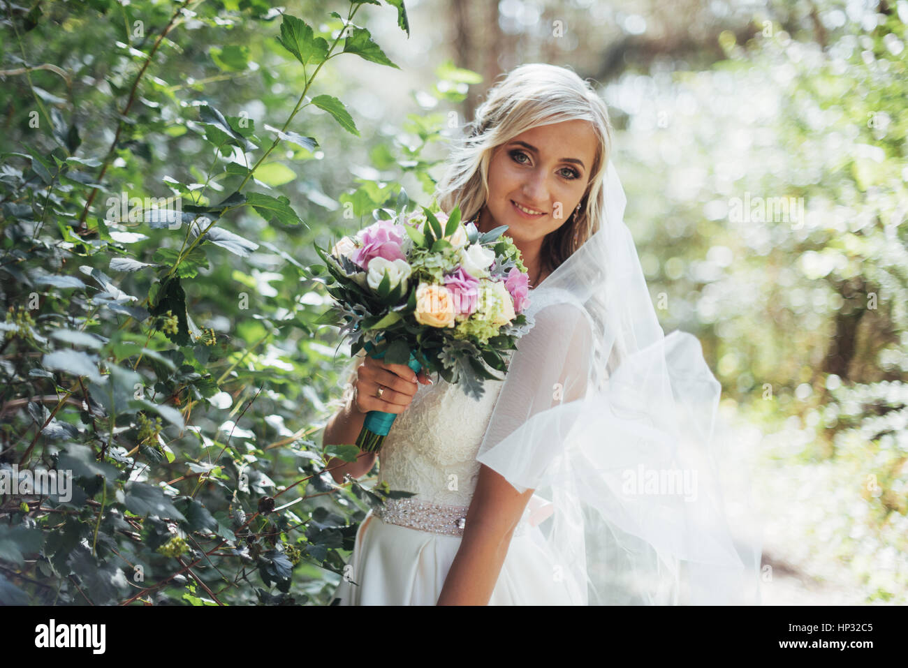 Portrait of a happy bride posing with veil Stock Photo - Alamy