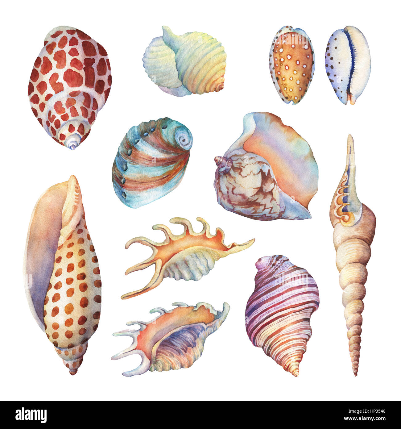 Set of underwater life objects - illustrations of various tropical ...