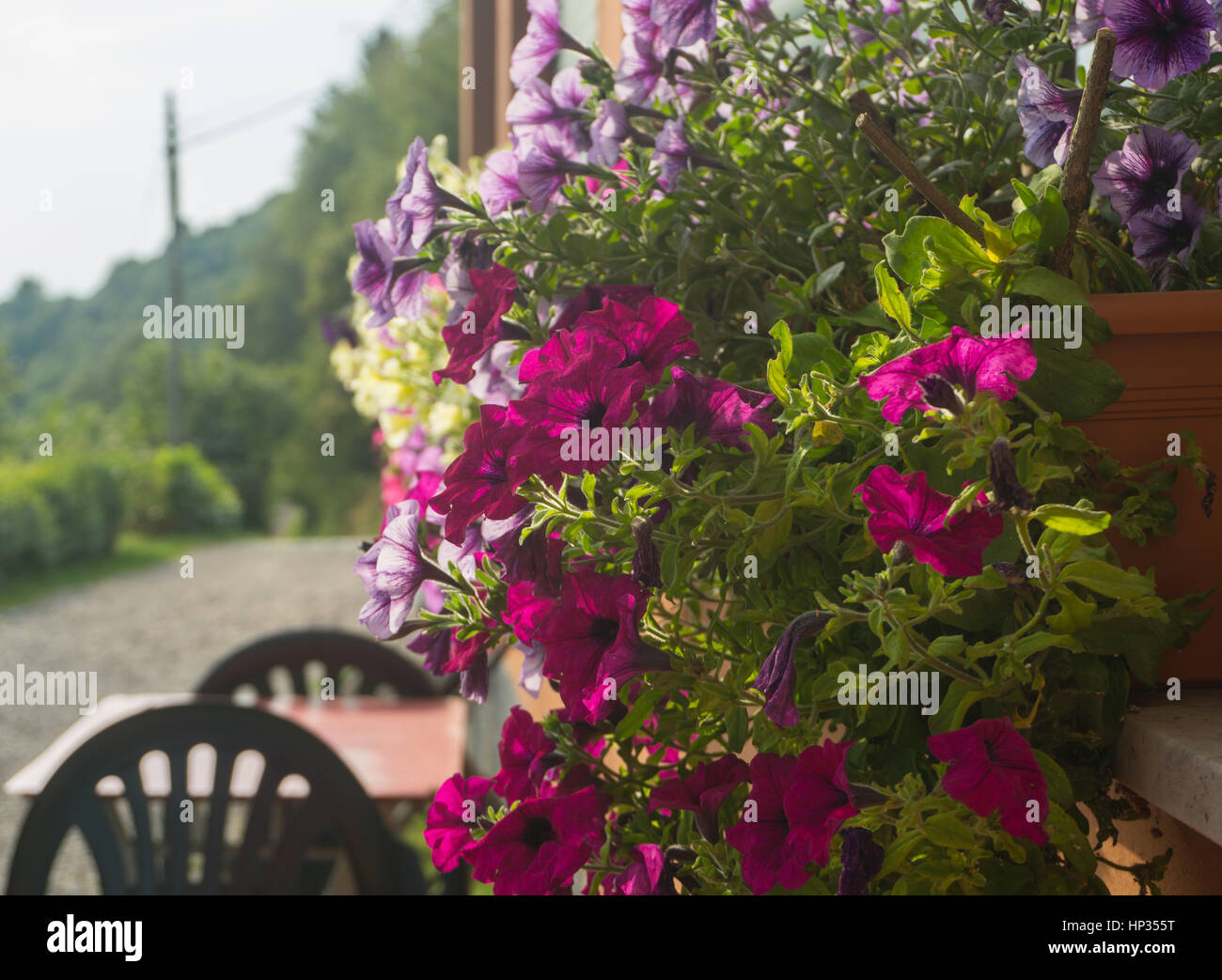 Beautiful blooming flowers as a decoration in small Italian town Stock ...