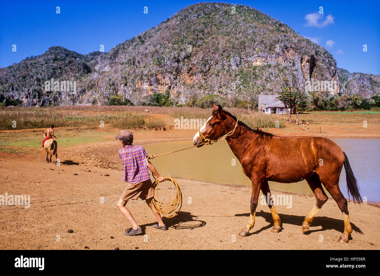 farmers children, in Vinales,in background, mogote, Mogotes ...