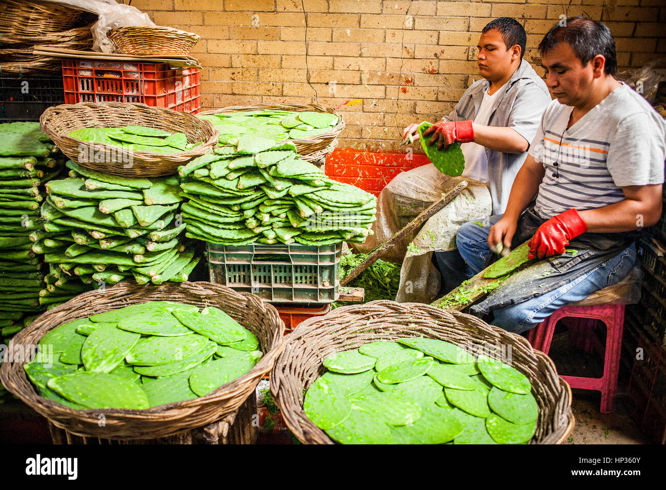 La Merced market, nopales shop, Mexico City, Mexico Stock Photo - Alamy