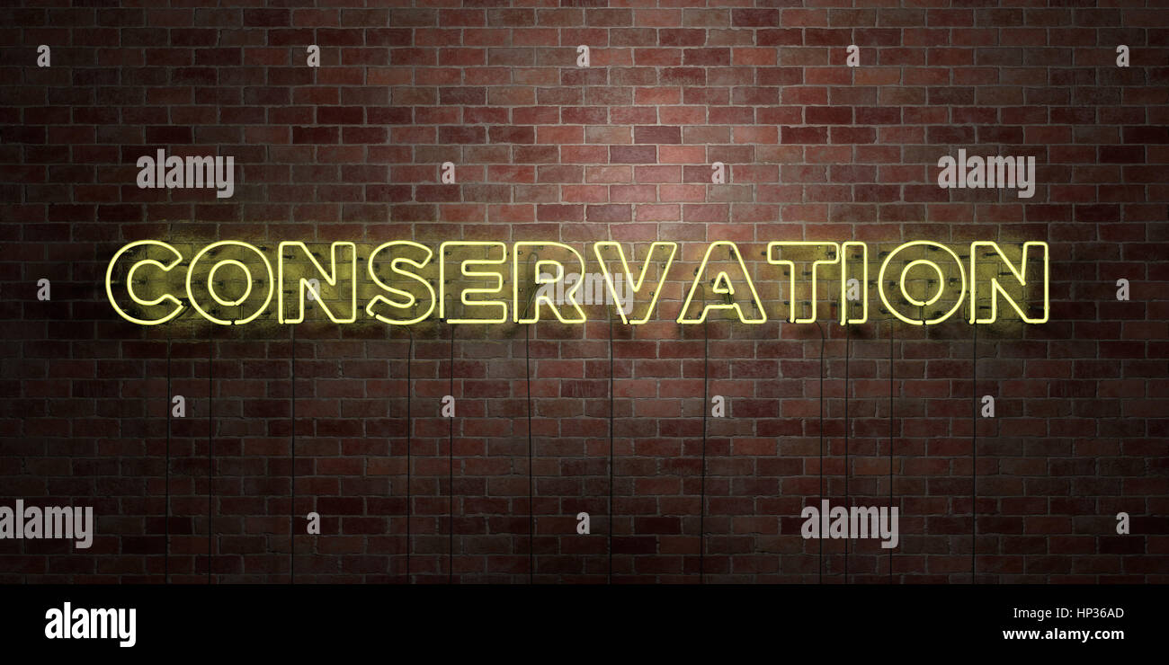 CONSERVATION - fluorescent Neon tube Sign on brickwork - Front view ...