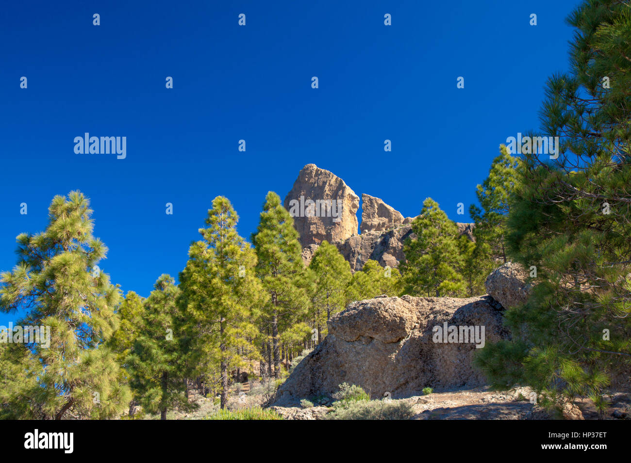 central Gran Canaria in February, view towards Roque Nublo, symbol of ...