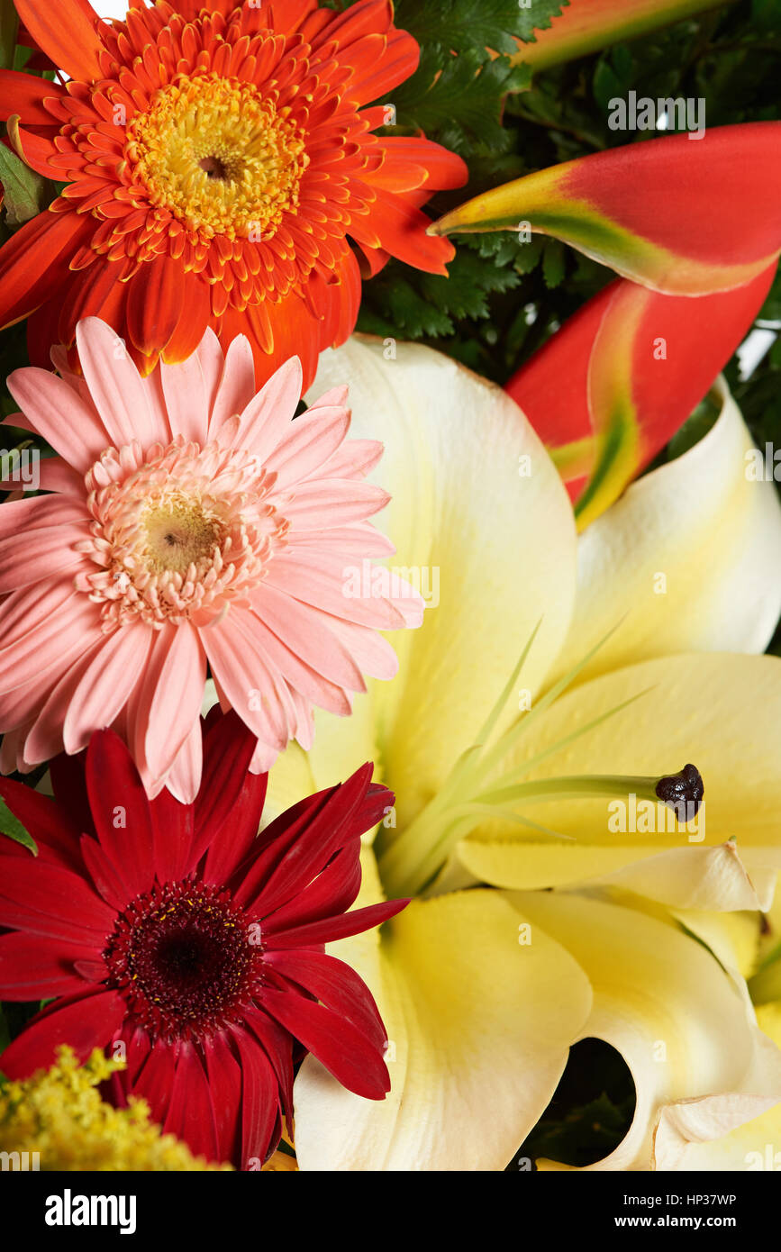 Tropical colourful summer flowers set in big bouquet Stock Photo - Alamy