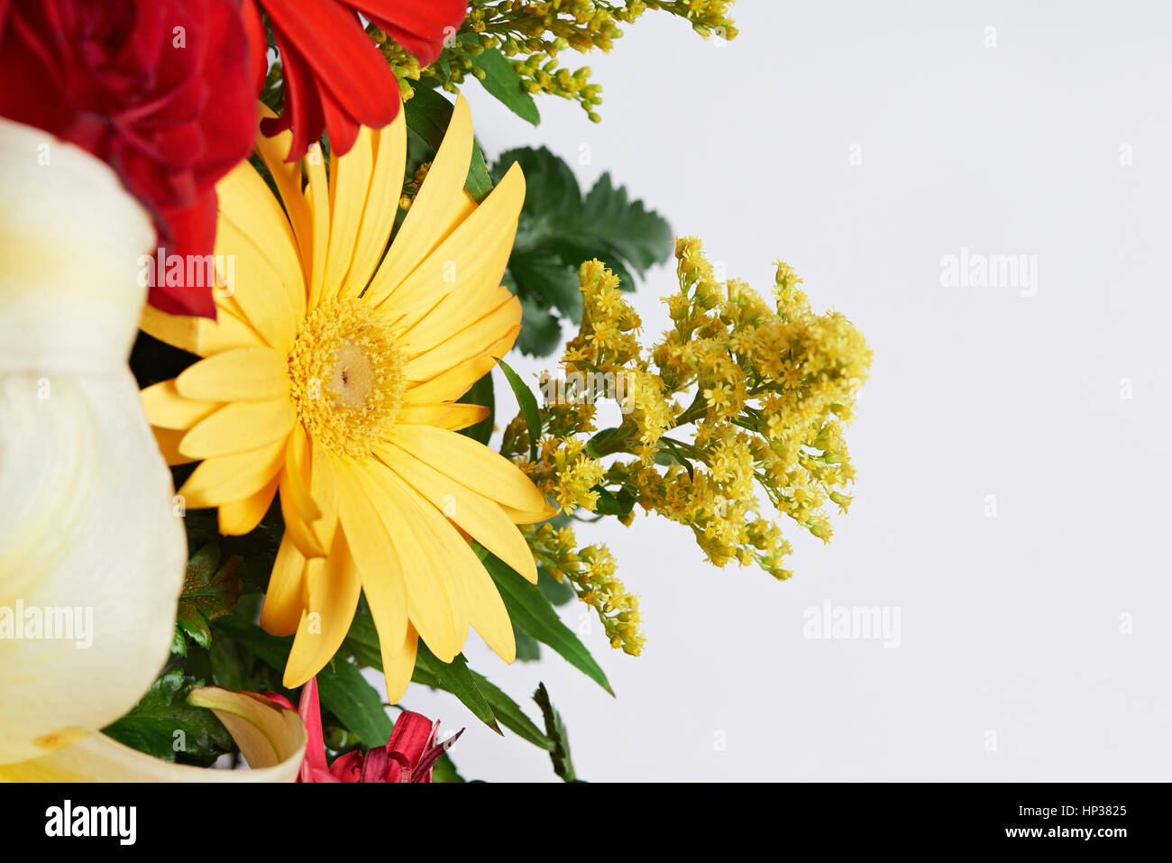 Yellow and red flowers isolated on white background Stock Photo - Alamy