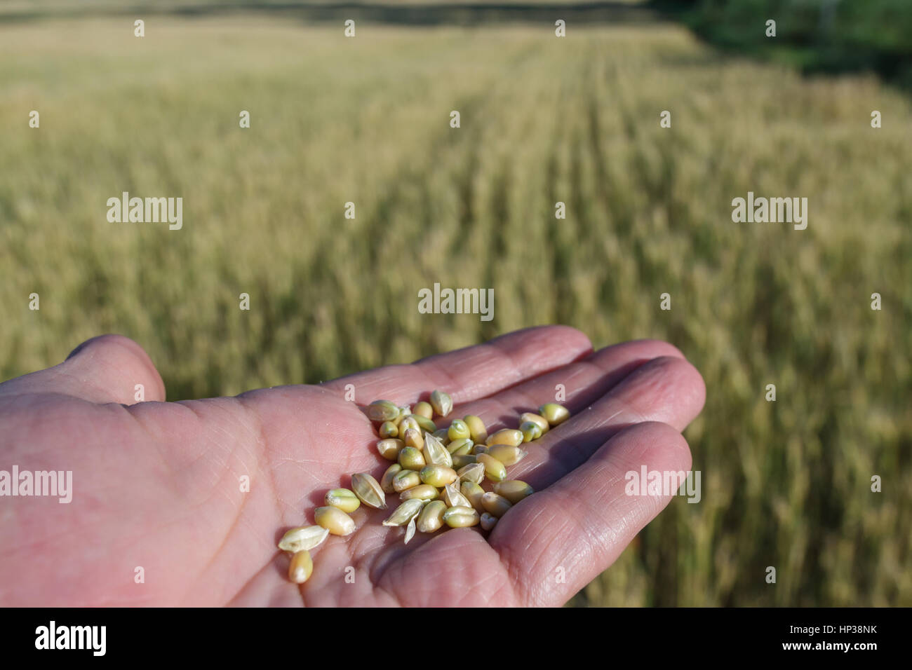 Quality checks hi-res stock photography and images - Alamy