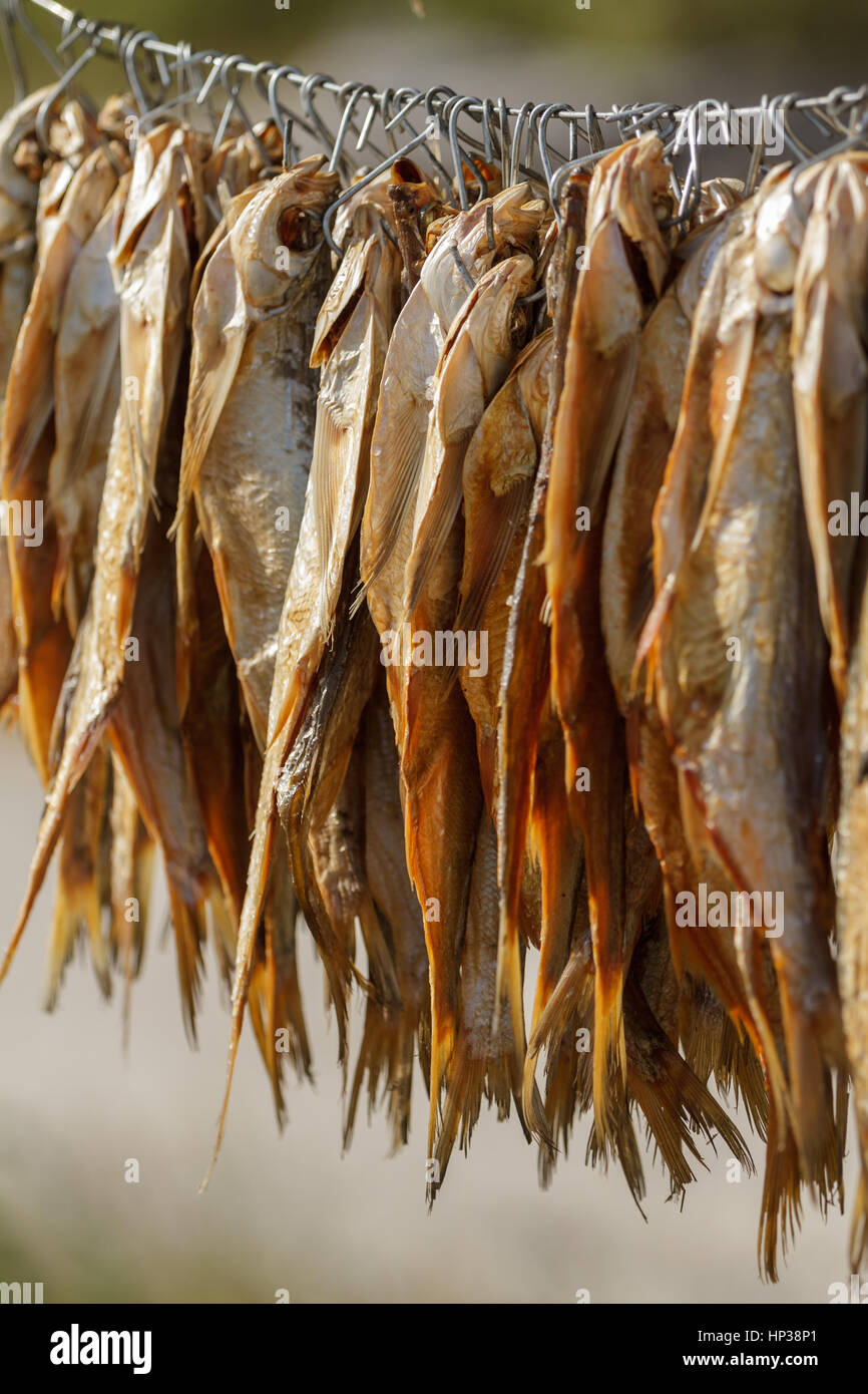 dried fish on a rope Stock Photo - Alamy