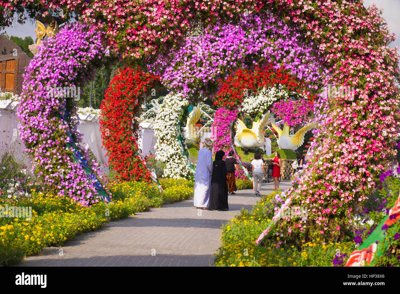 Mega garden in the middle of a desert hi-res stock photography and ...