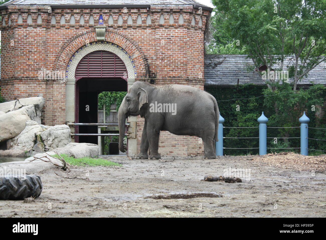 Keystone species arch hi-res stock photography and images - Alamy