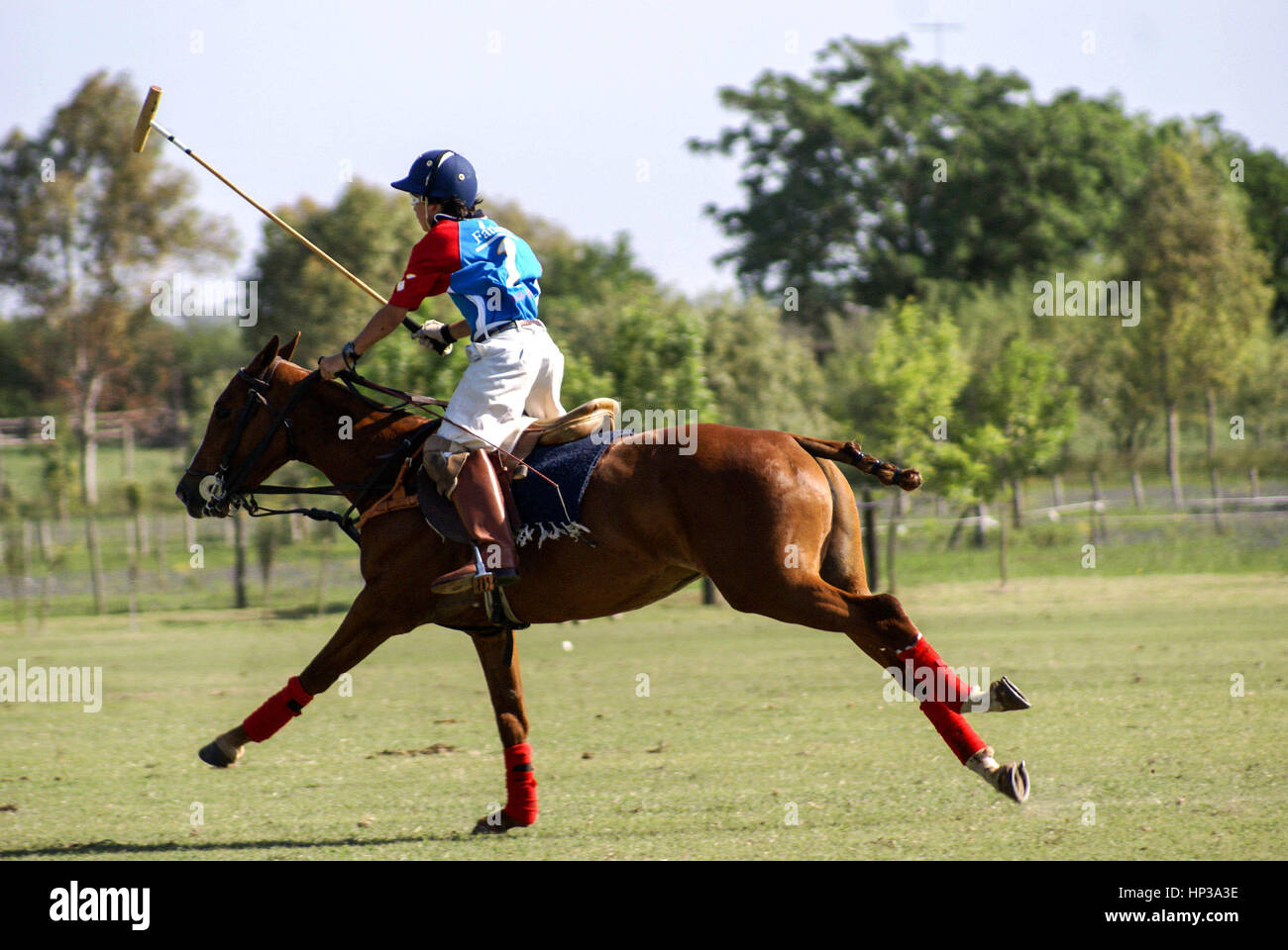 Polo shoes hi-res stock photography and images - Alamy