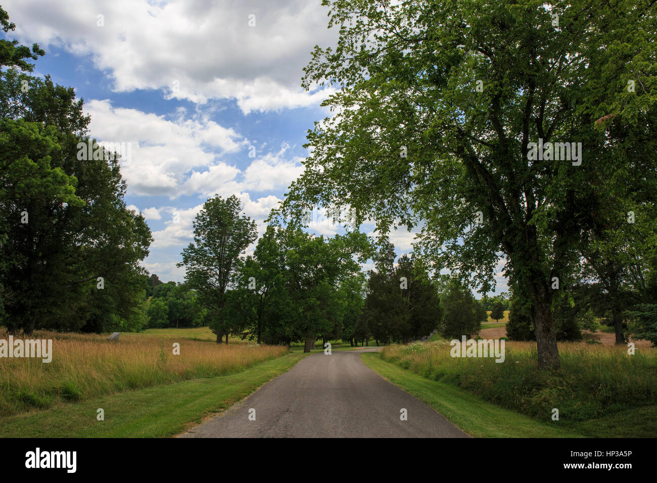 Road heading towards the battlefield areas at Perryfield Battlefield ...