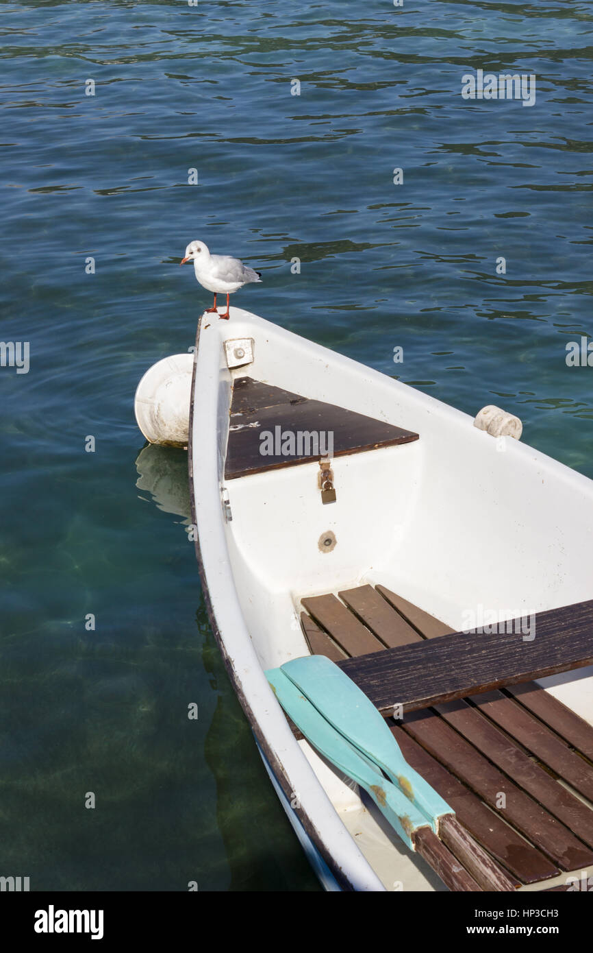 Gull boat hi-res stock photography and images - Alamy