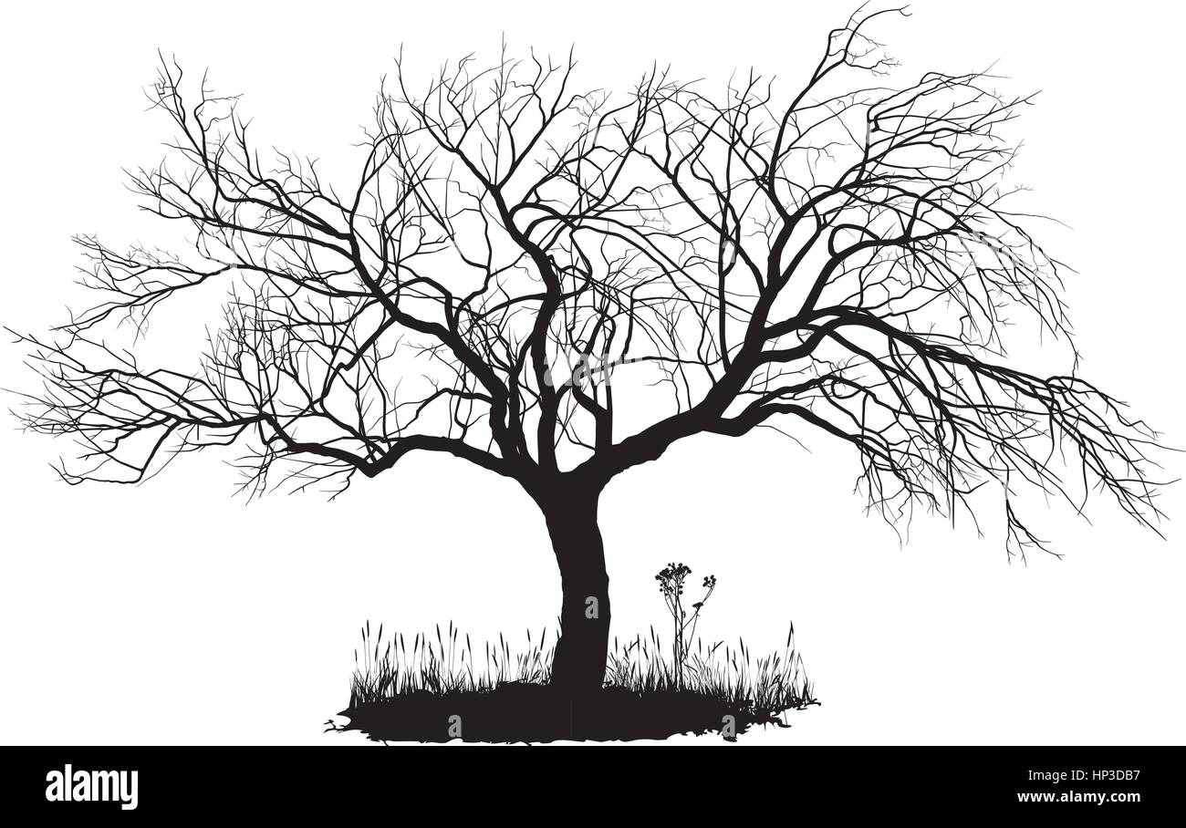 Apple orchard autumn Stock Vector Images - Alamy