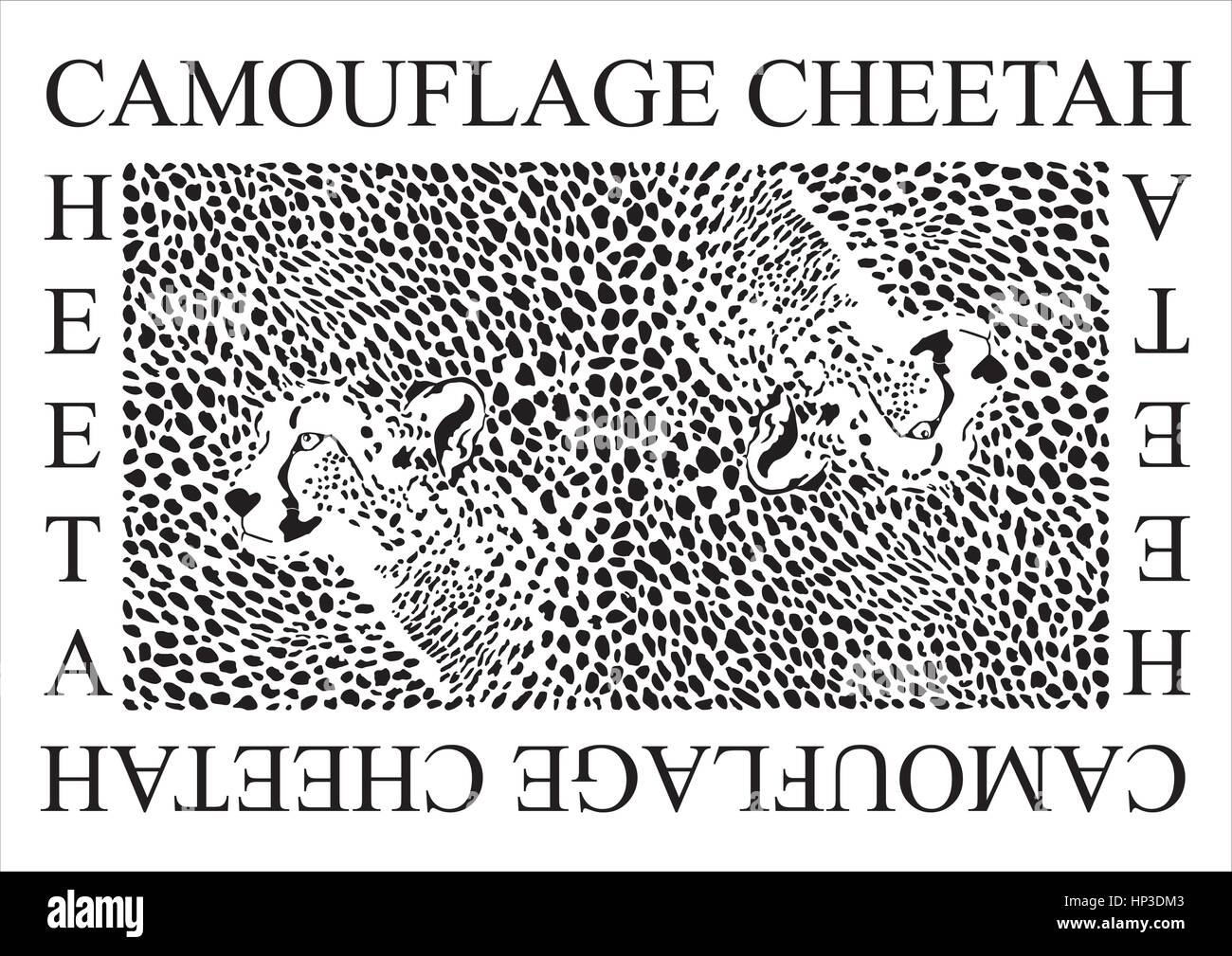 Hide vector vectors hi-res stock photography and images - Alamy