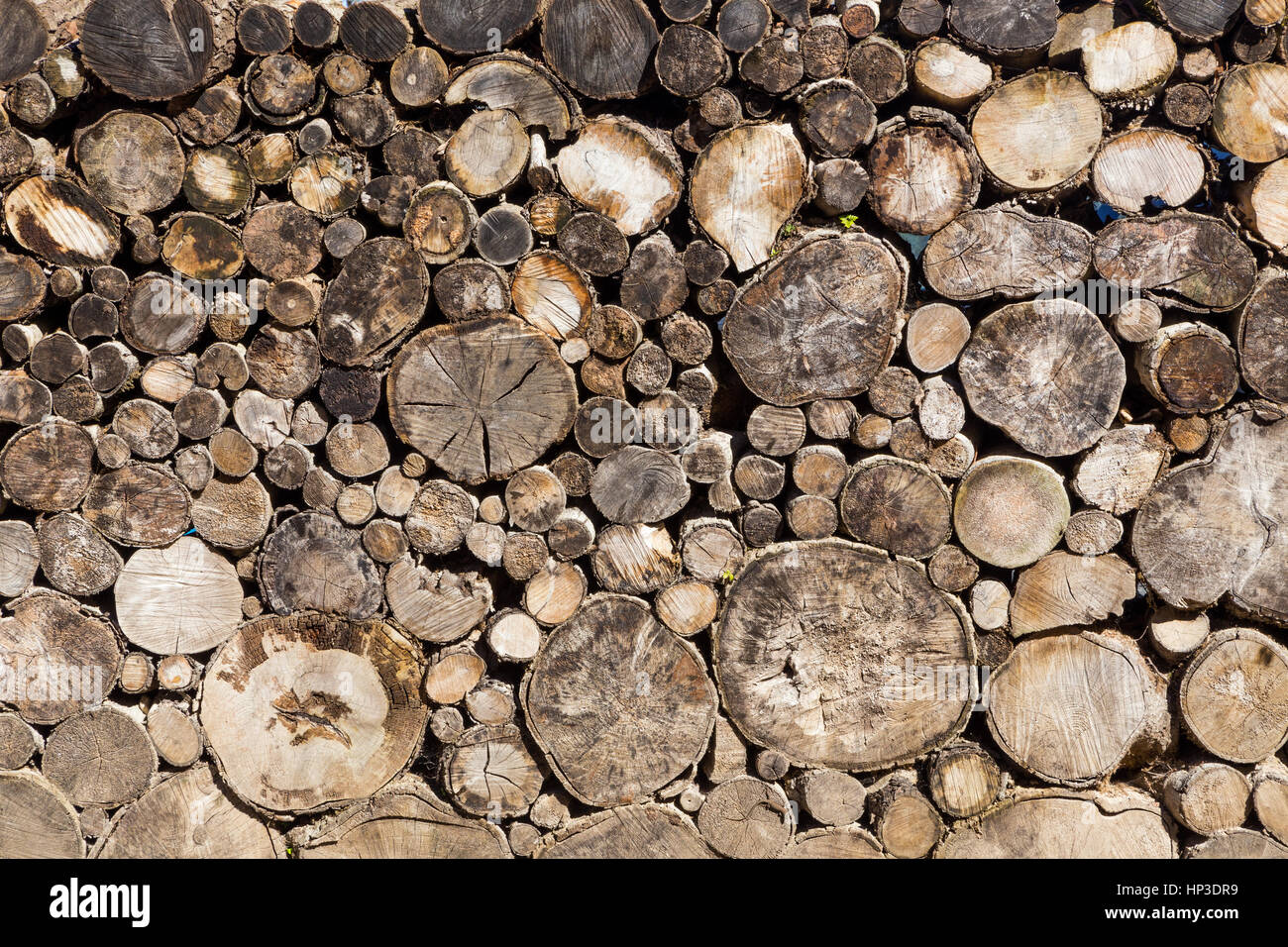 log background from round old wooden timber Stock Photo - Alamy