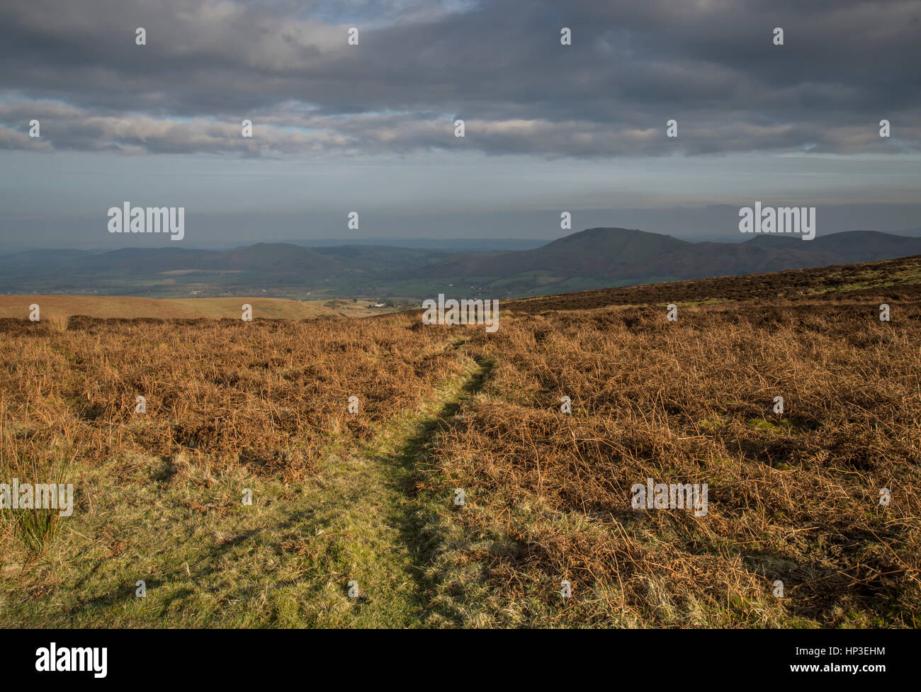 Long mynd shropshire walking hi-res stock photography and images - Alamy