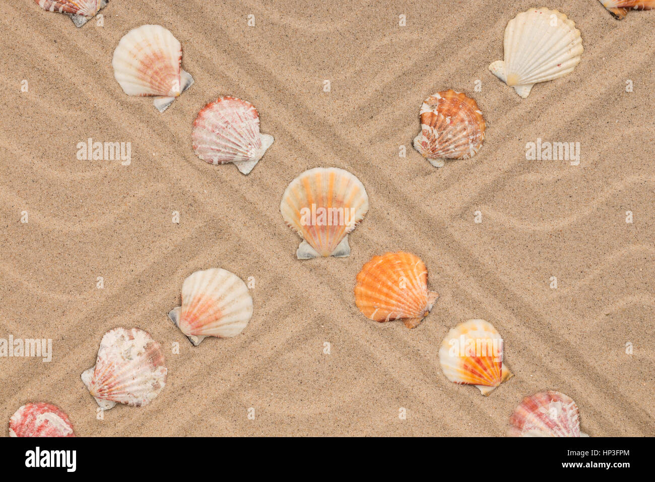 Intersection of two lines composed of seashells. View from above Stock ...