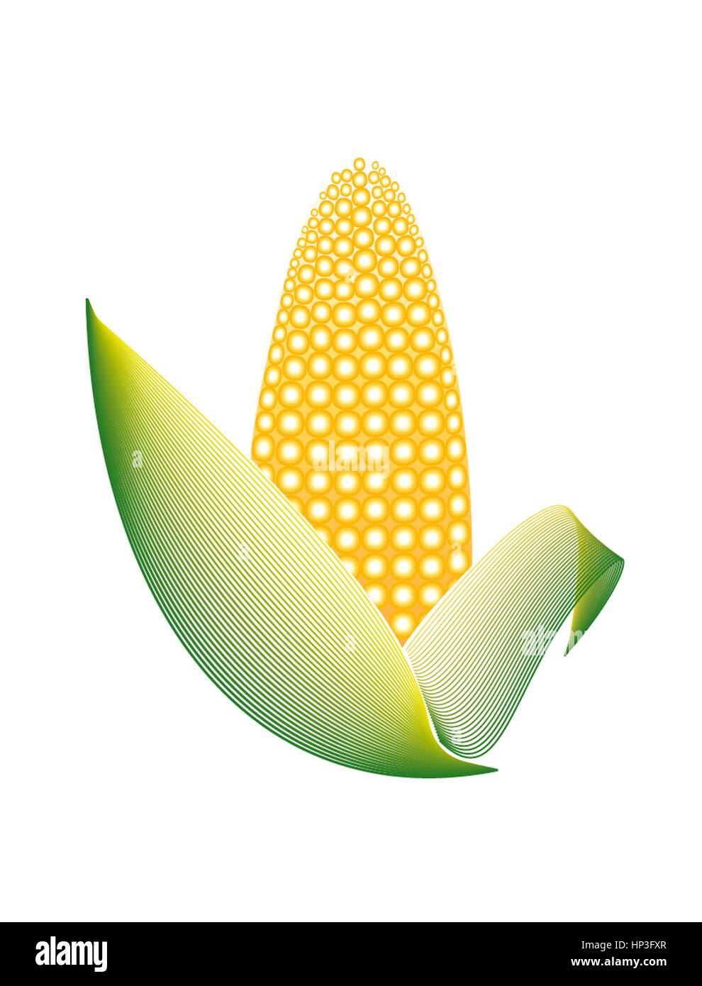 Corn vector hi-res stock photography and images - Alamy