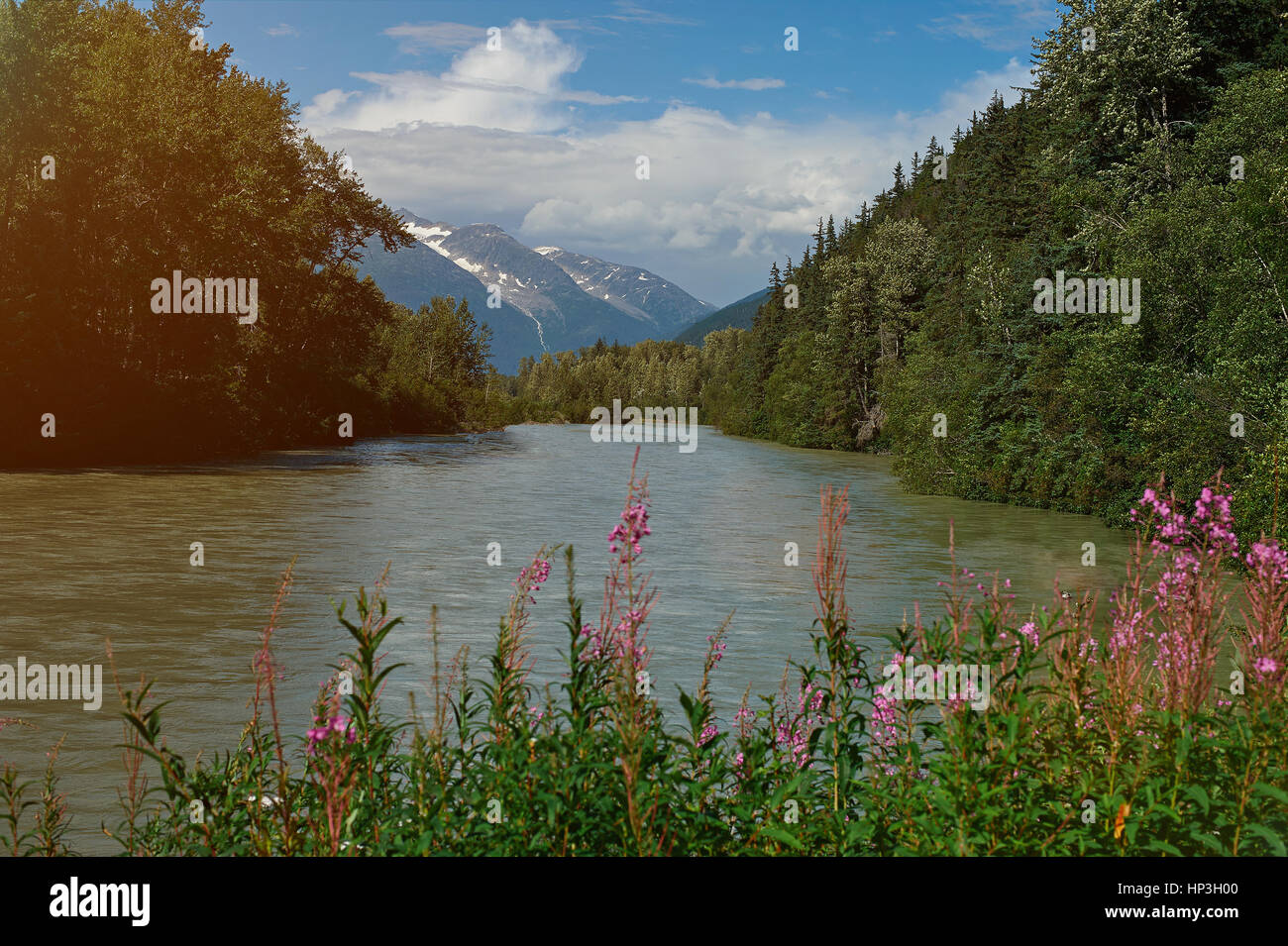 River in mountains landscape on sunny day. Hiking american national ...