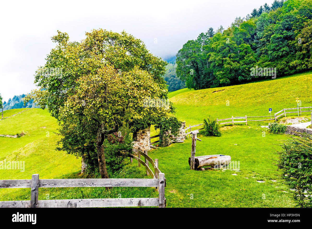 Heidi country hi-res stock photography and images - Alamy