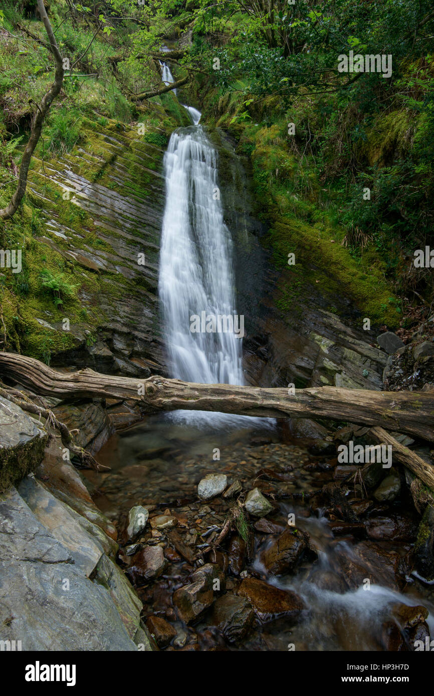Holme Force upper falls, Loweswater, Lake District, Cumbria, England ...