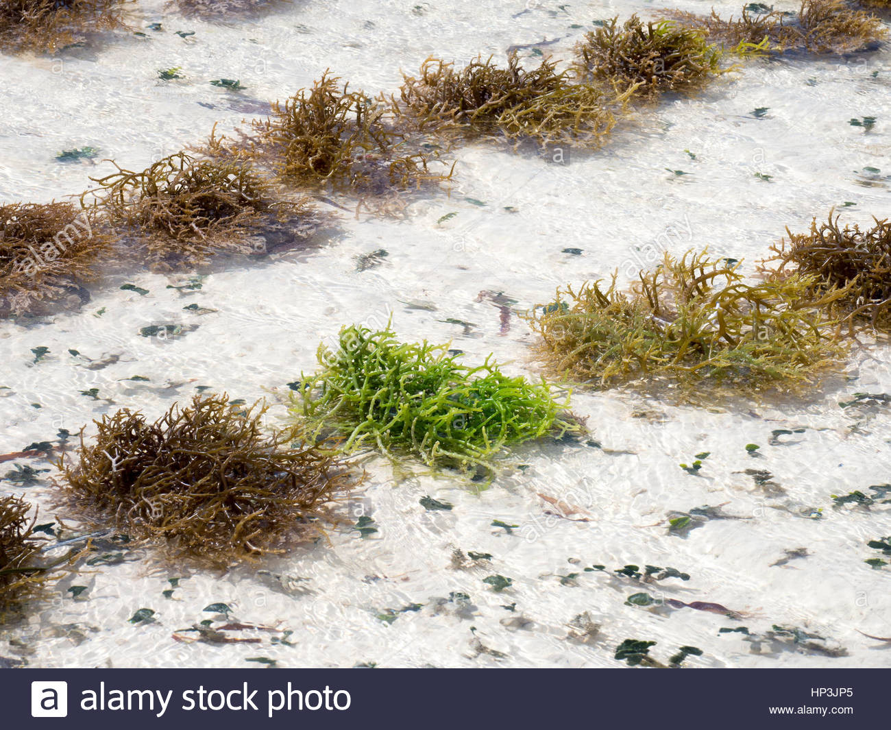 Aquaculture Stock Photos & Aquaculture Stock Images - Alamy