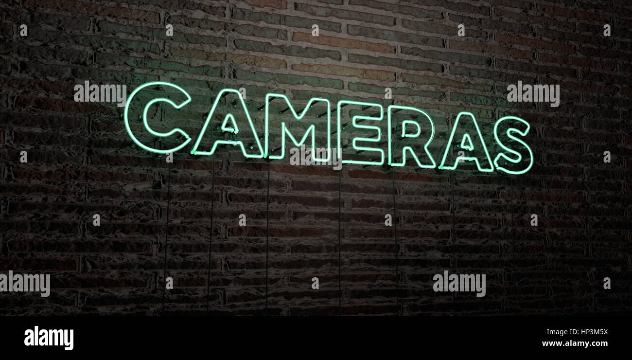 CAMERAS -Realistic Neon Sign on Brick Wall background - 3D rendered ...