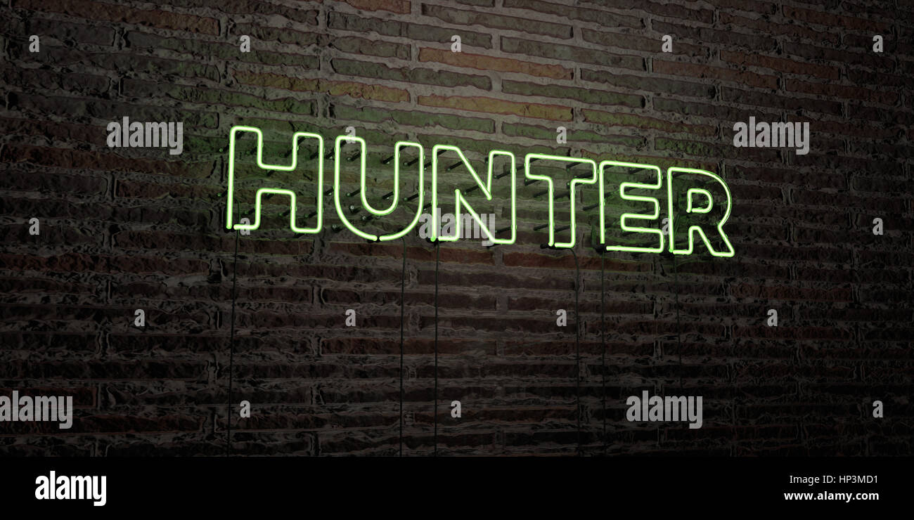 HUNTER -Realistic Neon Sign on Brick Wall background - 3D rendered ...