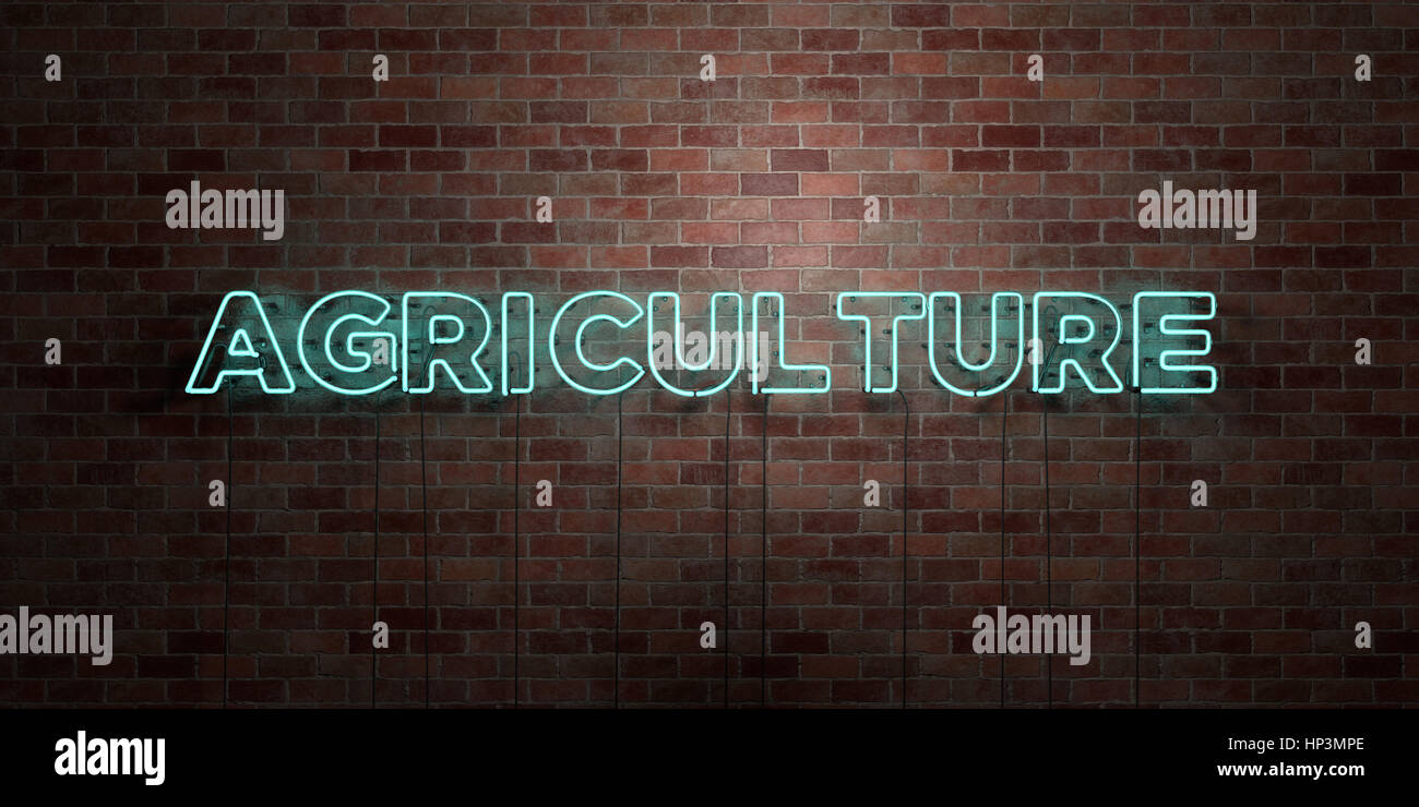 AGRICULTURE - fluorescent Neon tube Sign on brickwork - Front view - 3D ...