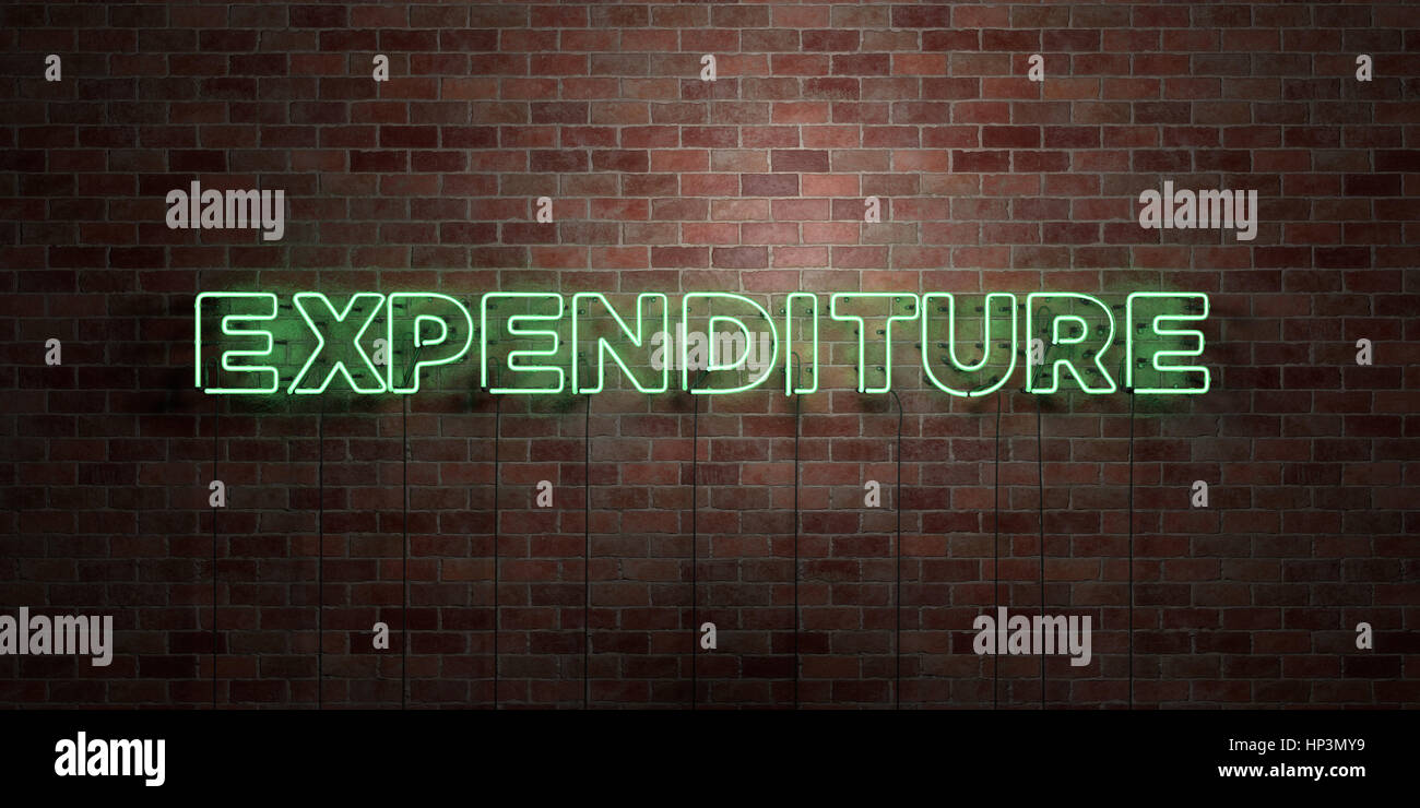 EXPENDITURE - fluorescent Neon tube Sign on brickwork - Front view - 3D ...