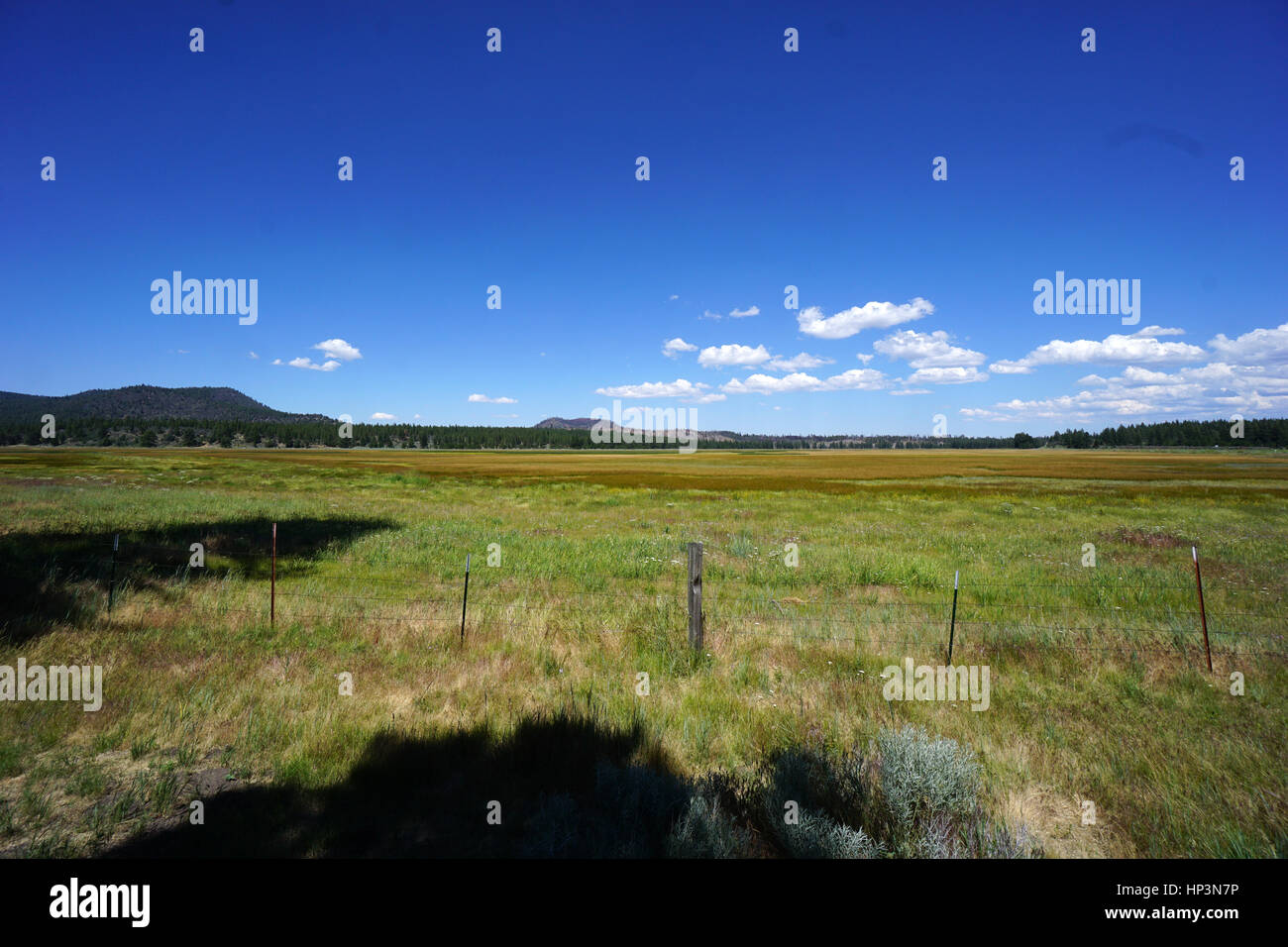 Grass lake hi-res stock photography and images - Alamy