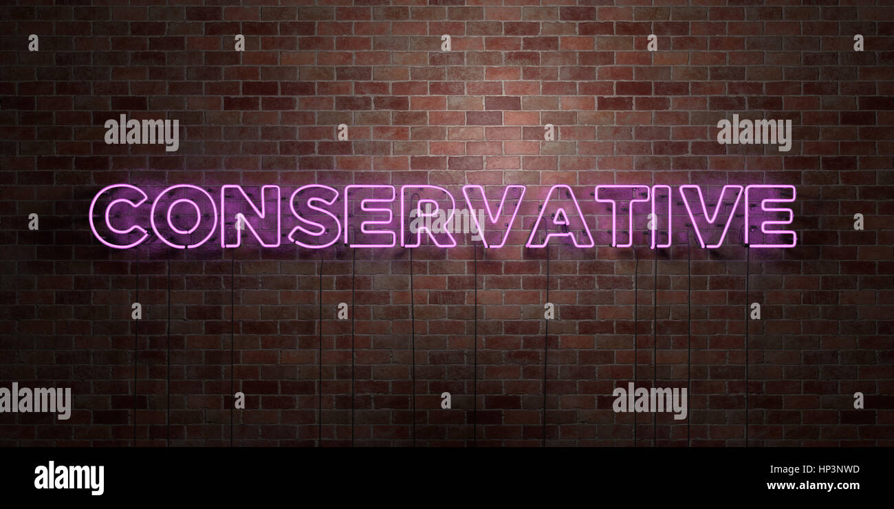 CONSERVATIVE - fluorescent Neon tube Sign on brickwork - Front view ...